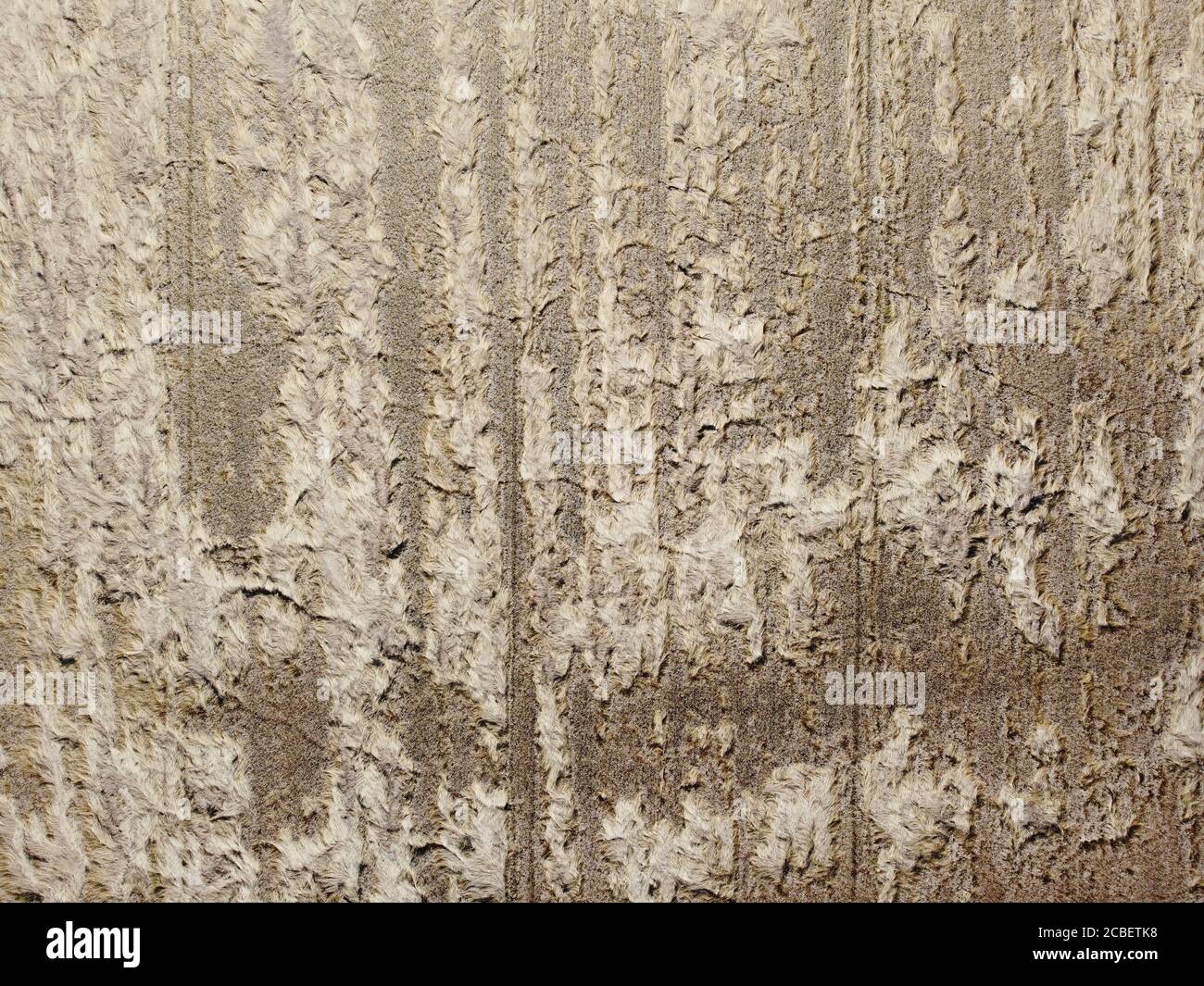 rye field aerial photo top view Stock Photo - Alamy