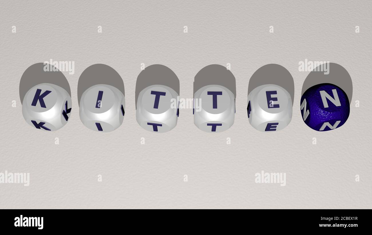 KITTEN text by cubic dice letters - 3D illustration for cat and cute ...