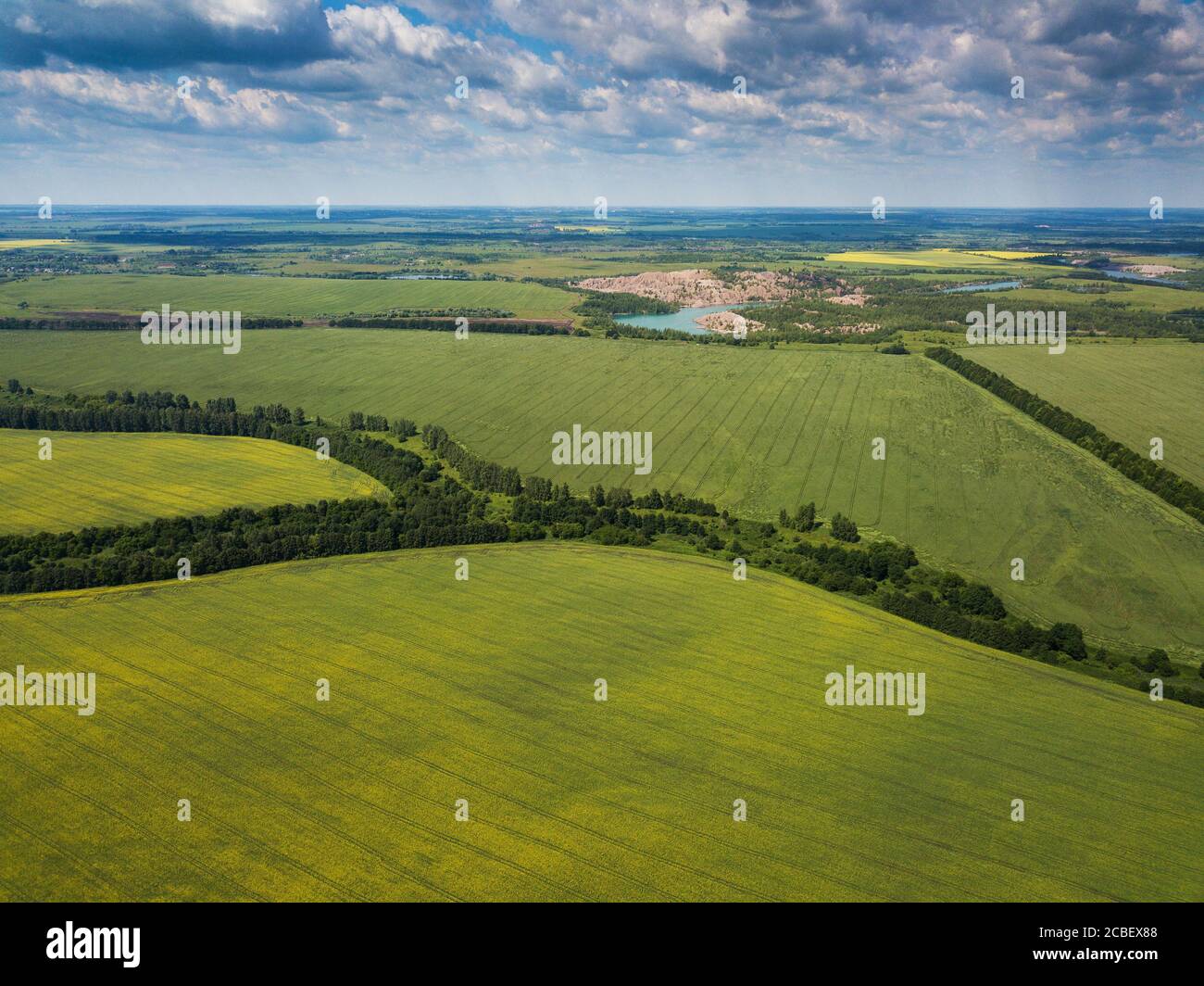 Aerial view of huge blooming yellow rapeseed fields in sunny summer day ...