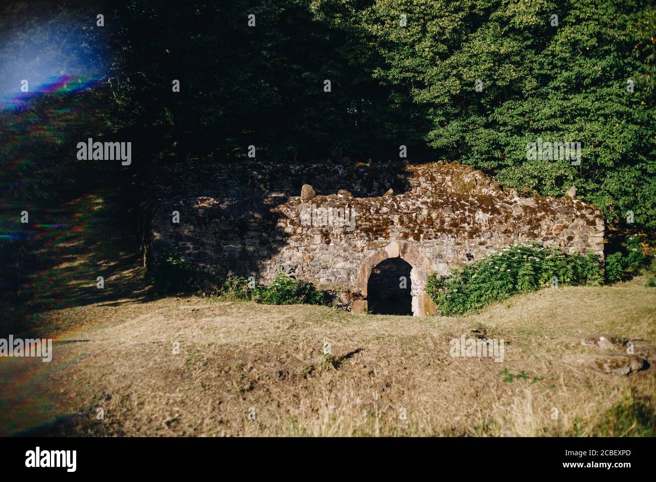 Medieval castle ruin of the Staufer on the Glauberg Stock Photo - Alamy