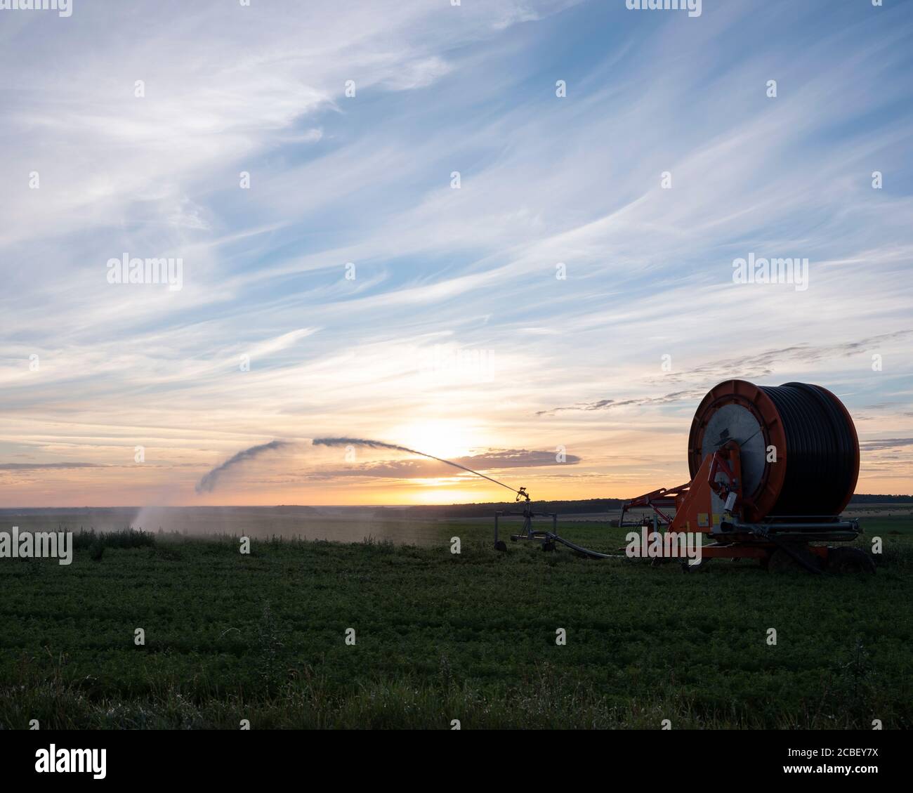 Water sprinkler irrigating vegetable garden hi-res stock photography ...