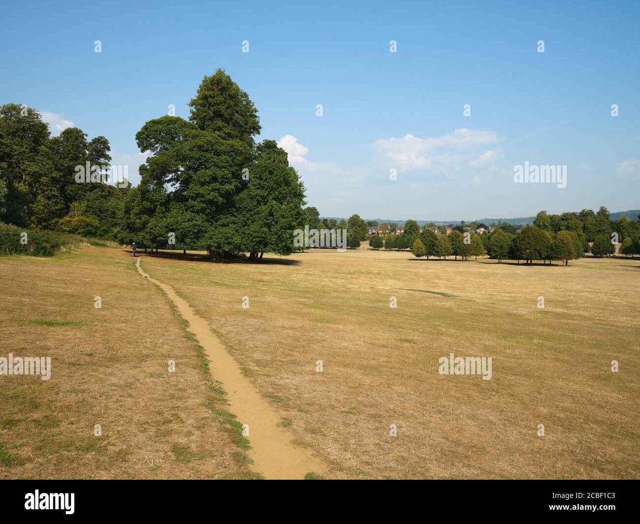 The summer parkland landscape of Reigate Priory Park in Reigate Surrey ...
