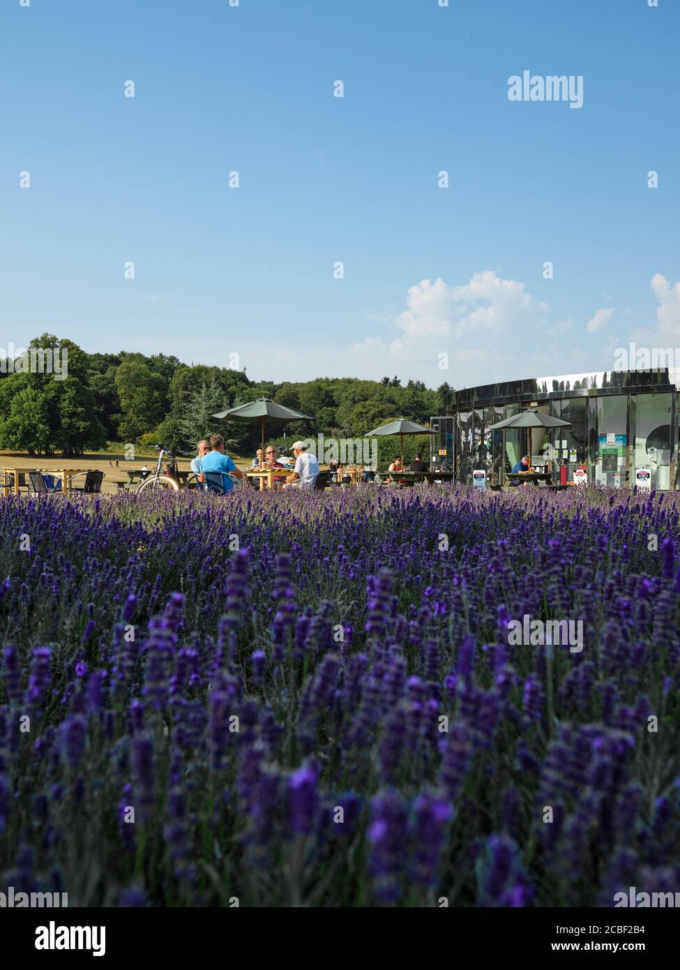 Reigate cafe hi-res stock photography and images - Alamy