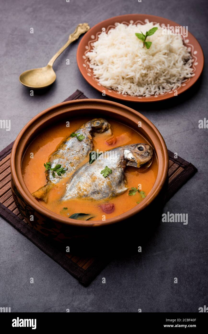 Spicy Fish Curry - kerala, konkan, bengal, goa style in Red and brown ...