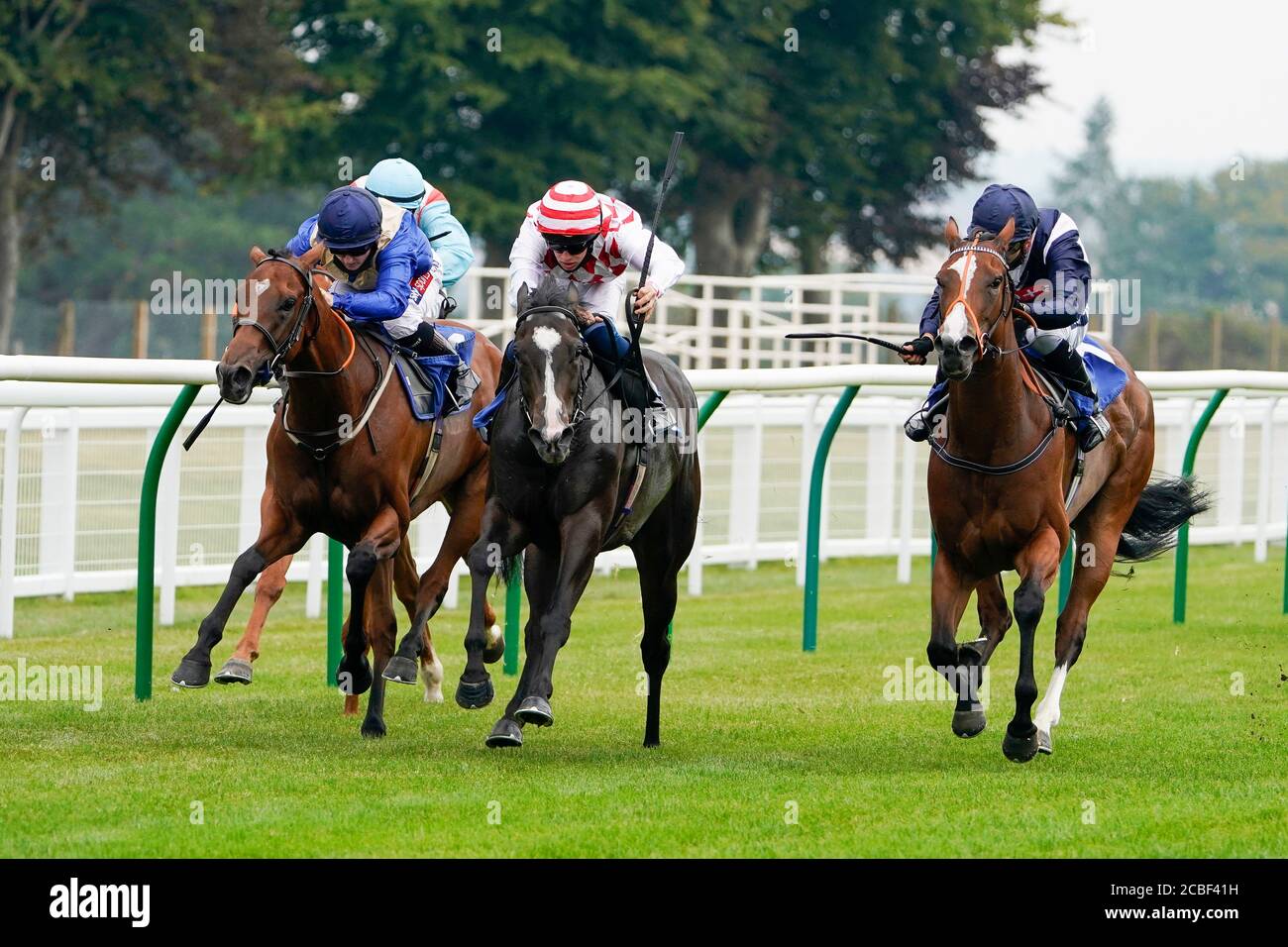 Rooke hi-res stock photography and images - Alamy