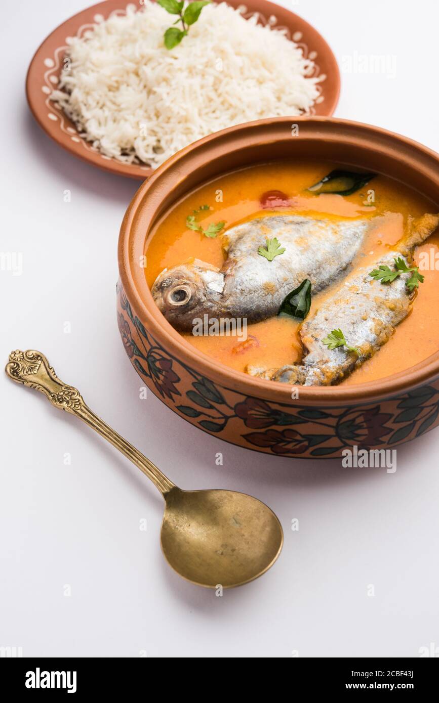 Spicy Fish Curry - kerala, konkan, bengal, goa style in Red and brown ...