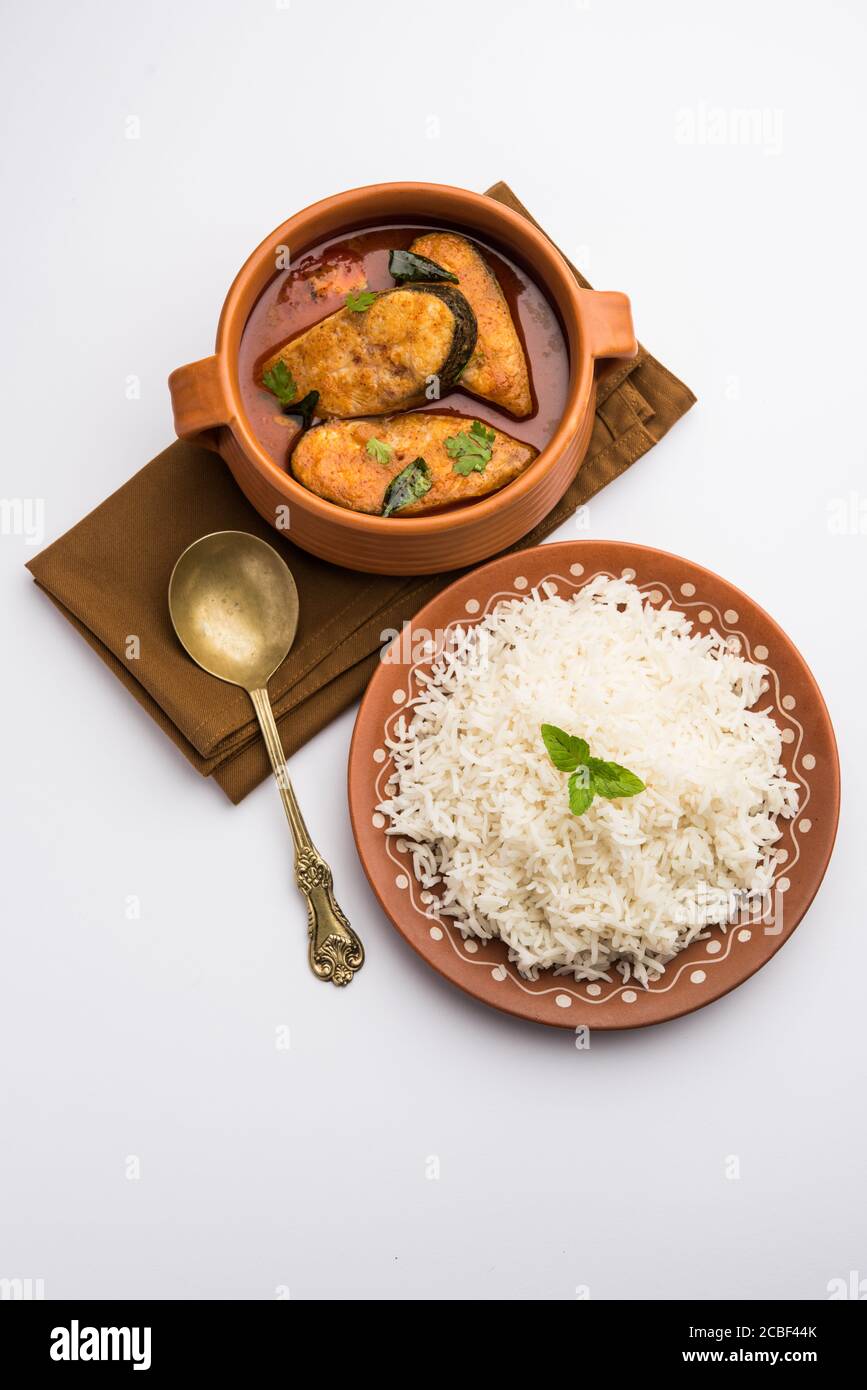 Spicy Fish Curry - kerala, konkan, bengal, goa style in Red and brown ...