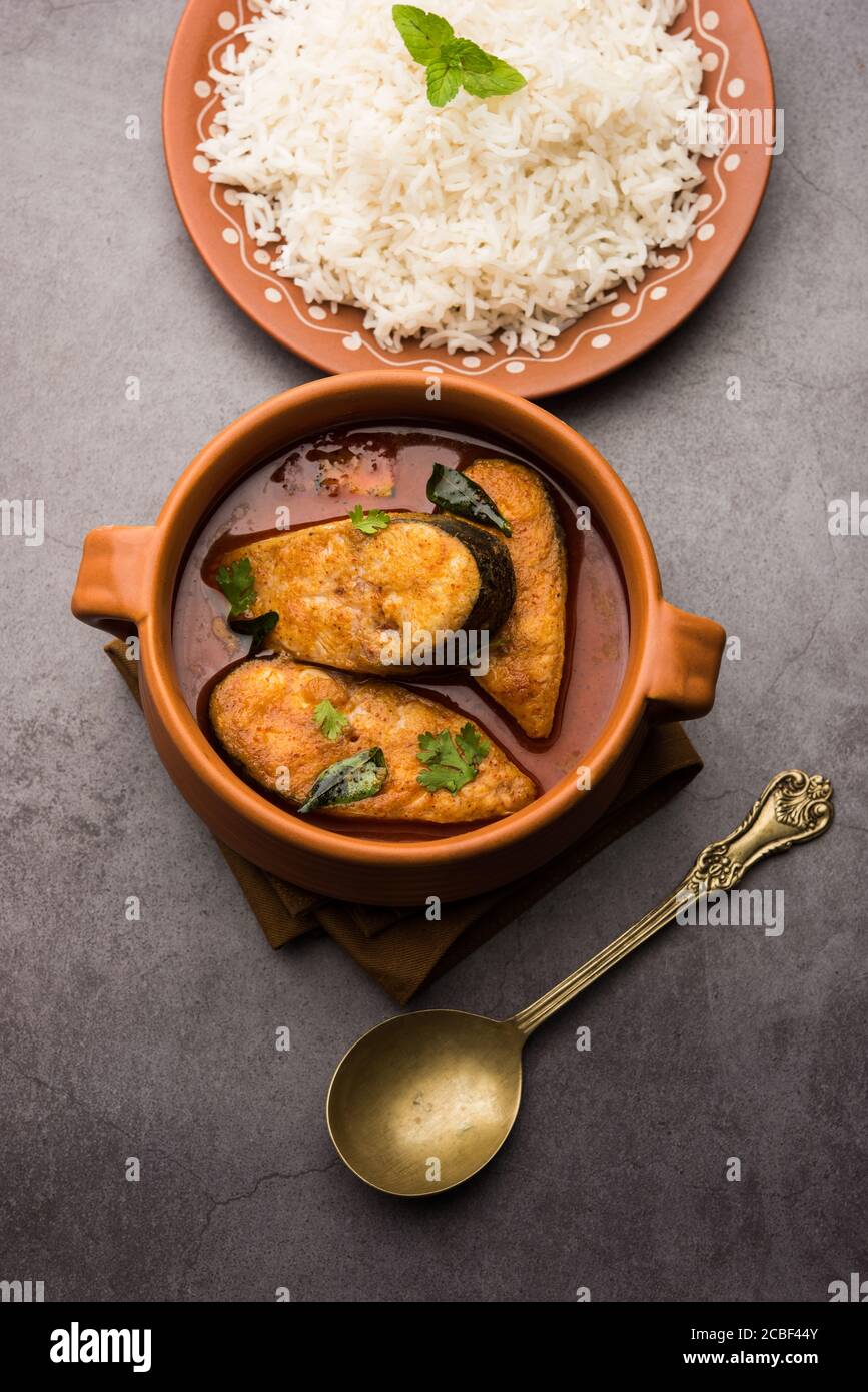 Spicy Fish Curry - kerala, konkan, bengal, goa style in Red and brown ...