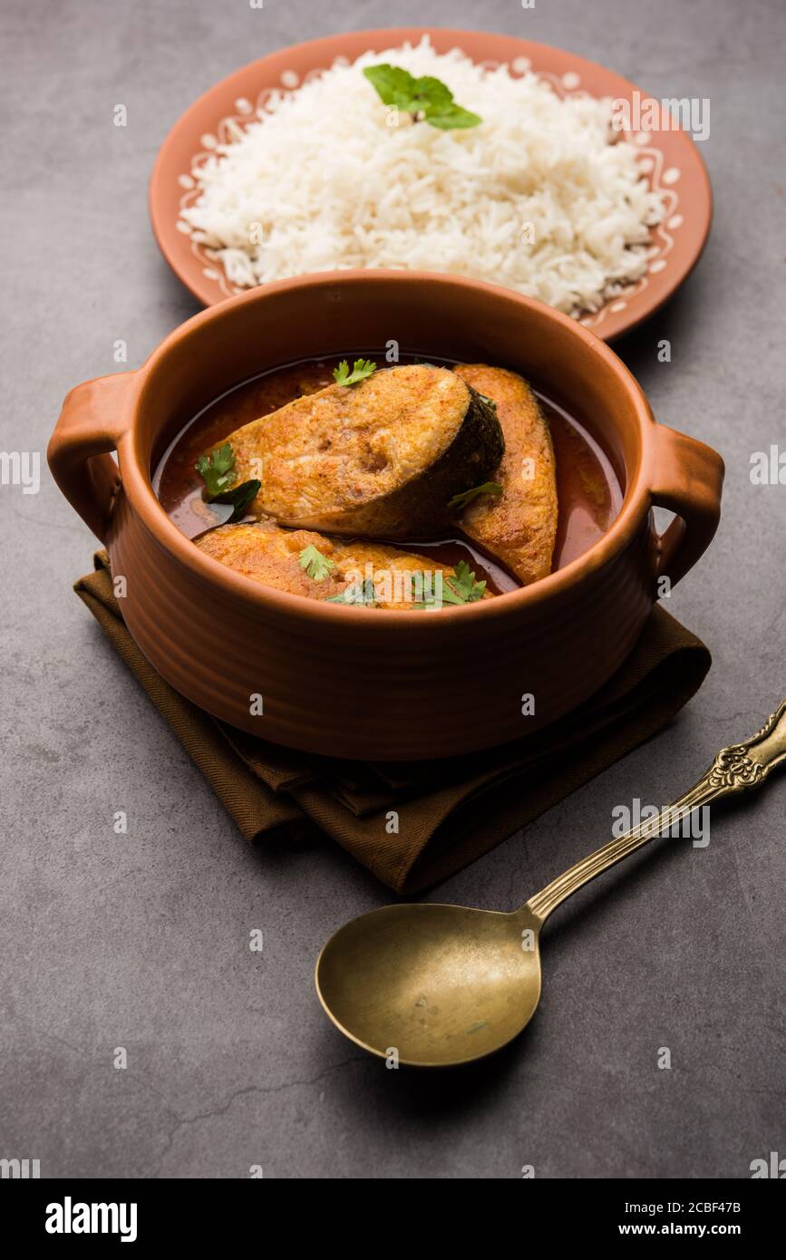 Spicy Fish Curry - kerala, konkan, bengal, goa style in Red and brown ...
