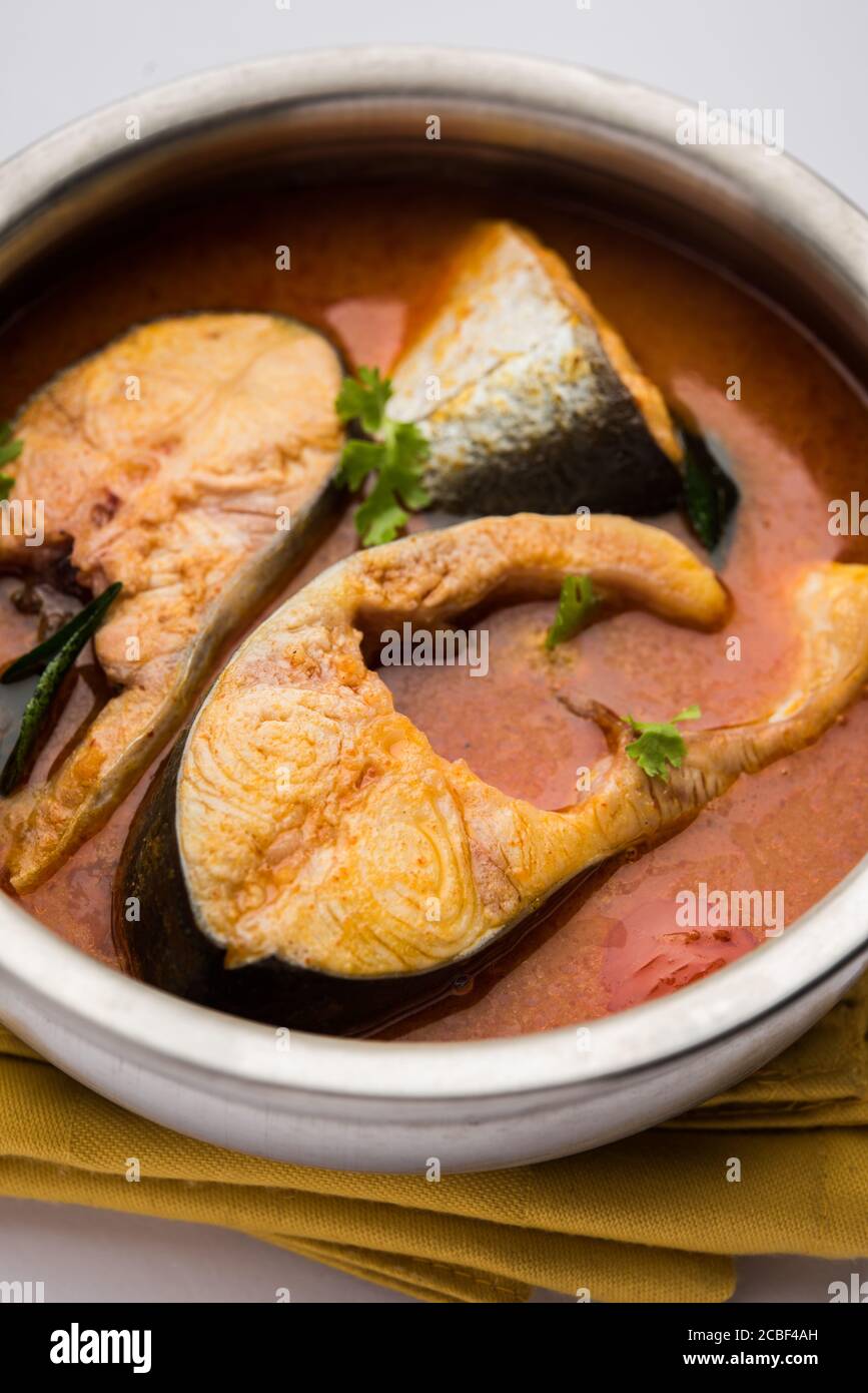 Spicy Fish Curry - kerala, konkan, bengal, goa style in Red and brown ...