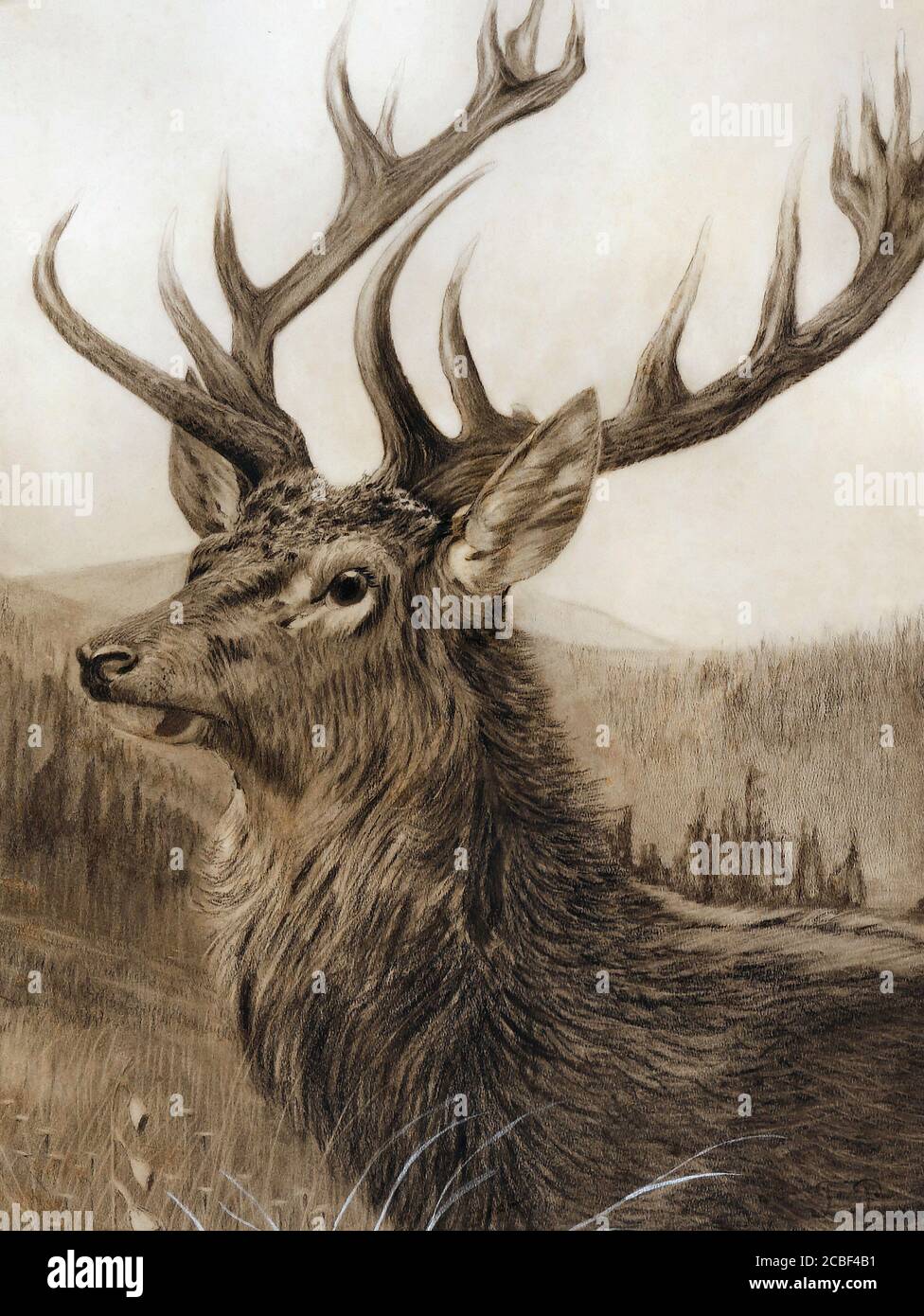 Pausinger Franz Xaver Von - Hirsch - German School - 19th Century Stock ...