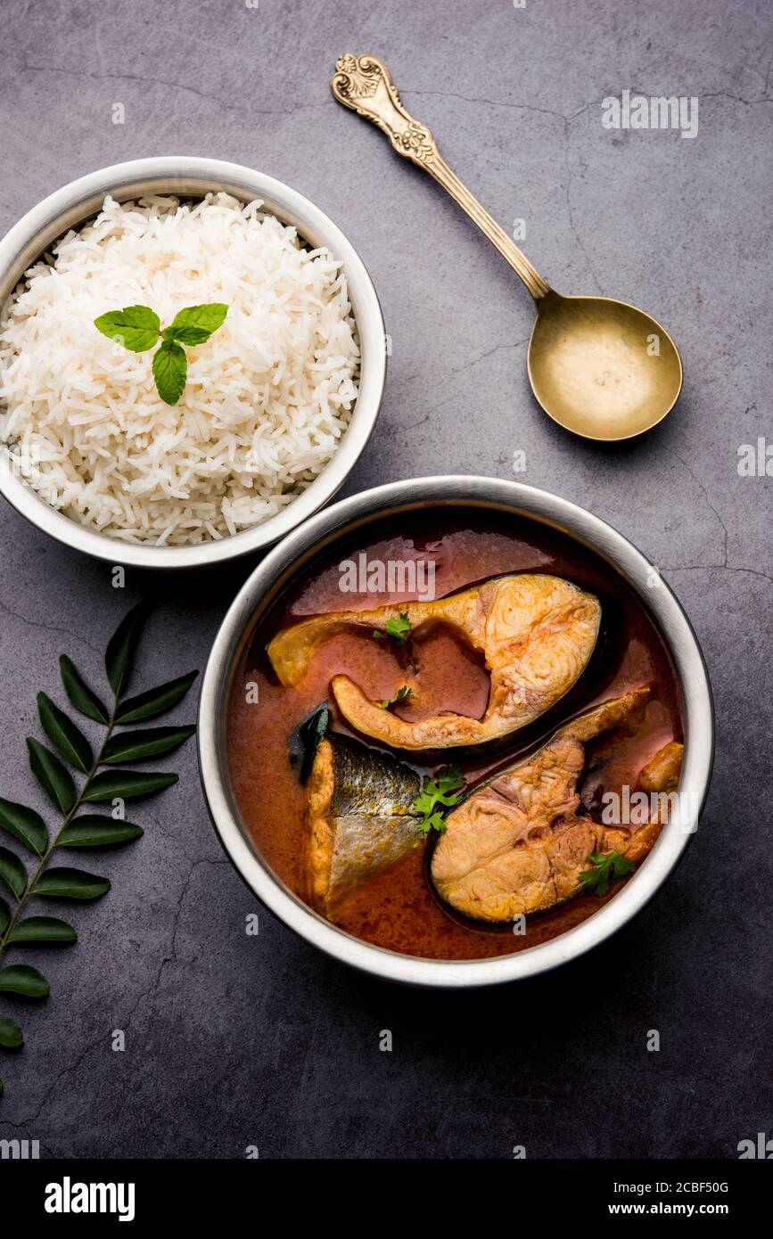 Spicy Fish Curry - kerala, konkan, bengal, goa style in Red and brown ...