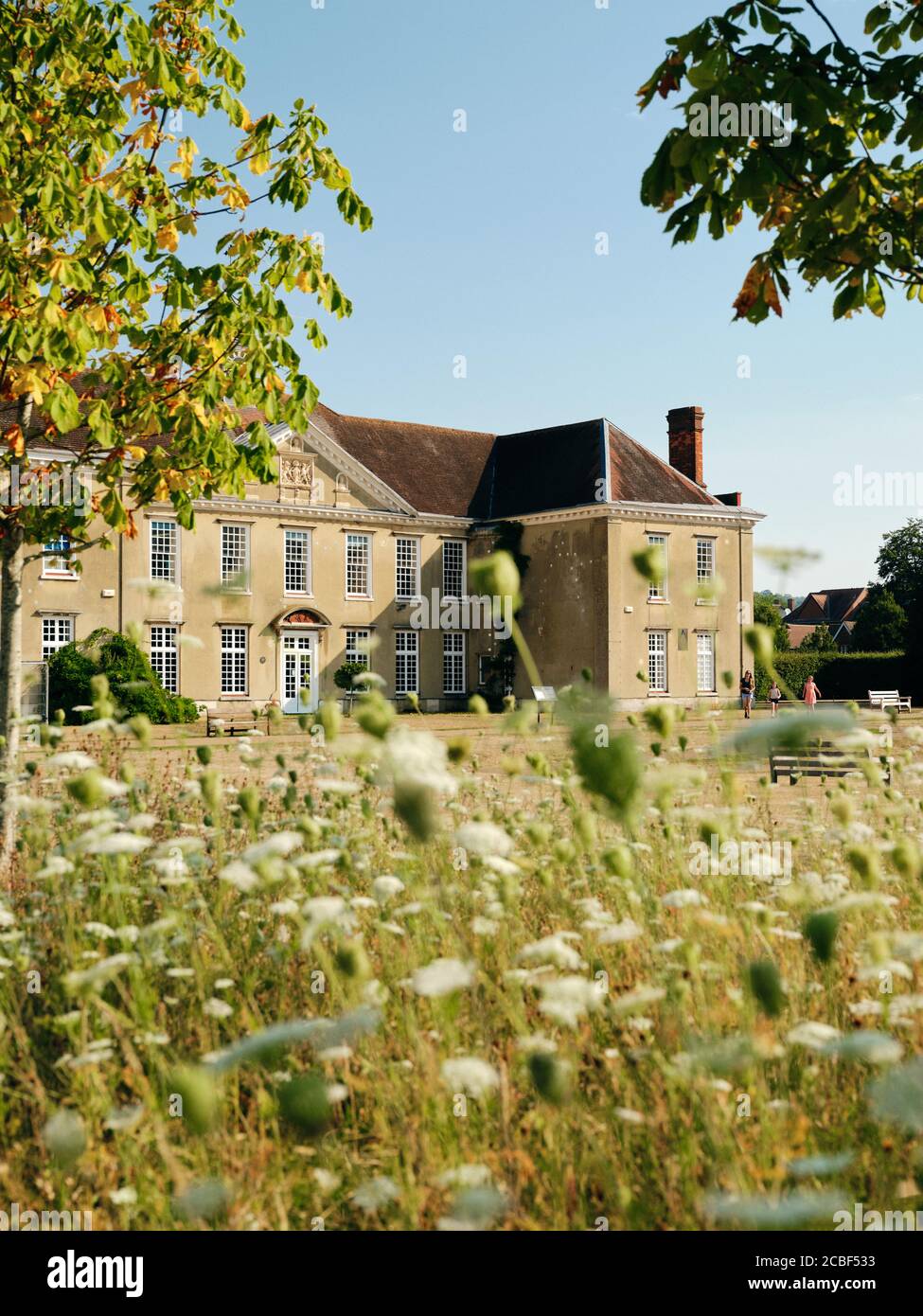 Reigate Priory and a wildflower meadow on a summers day and in Reigate ...