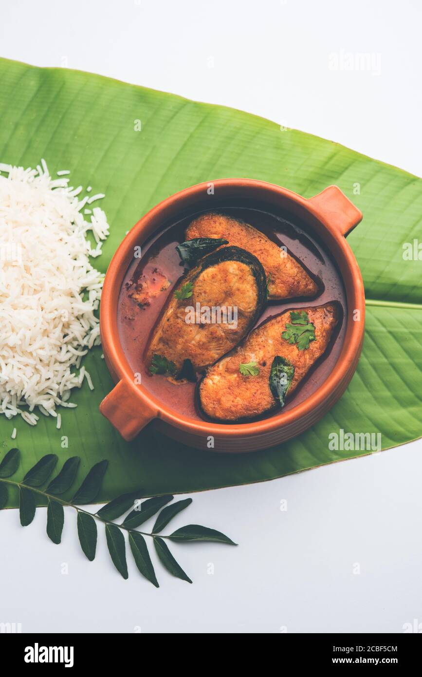 Spicy Fish Curry - kerala, konkan, bengal, goa style in Red and brown ...