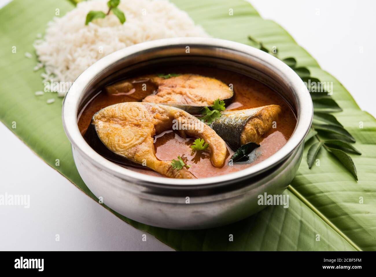 Spicy Fish Curry - kerala, konkan, bengal, goa style in Red and brown ...