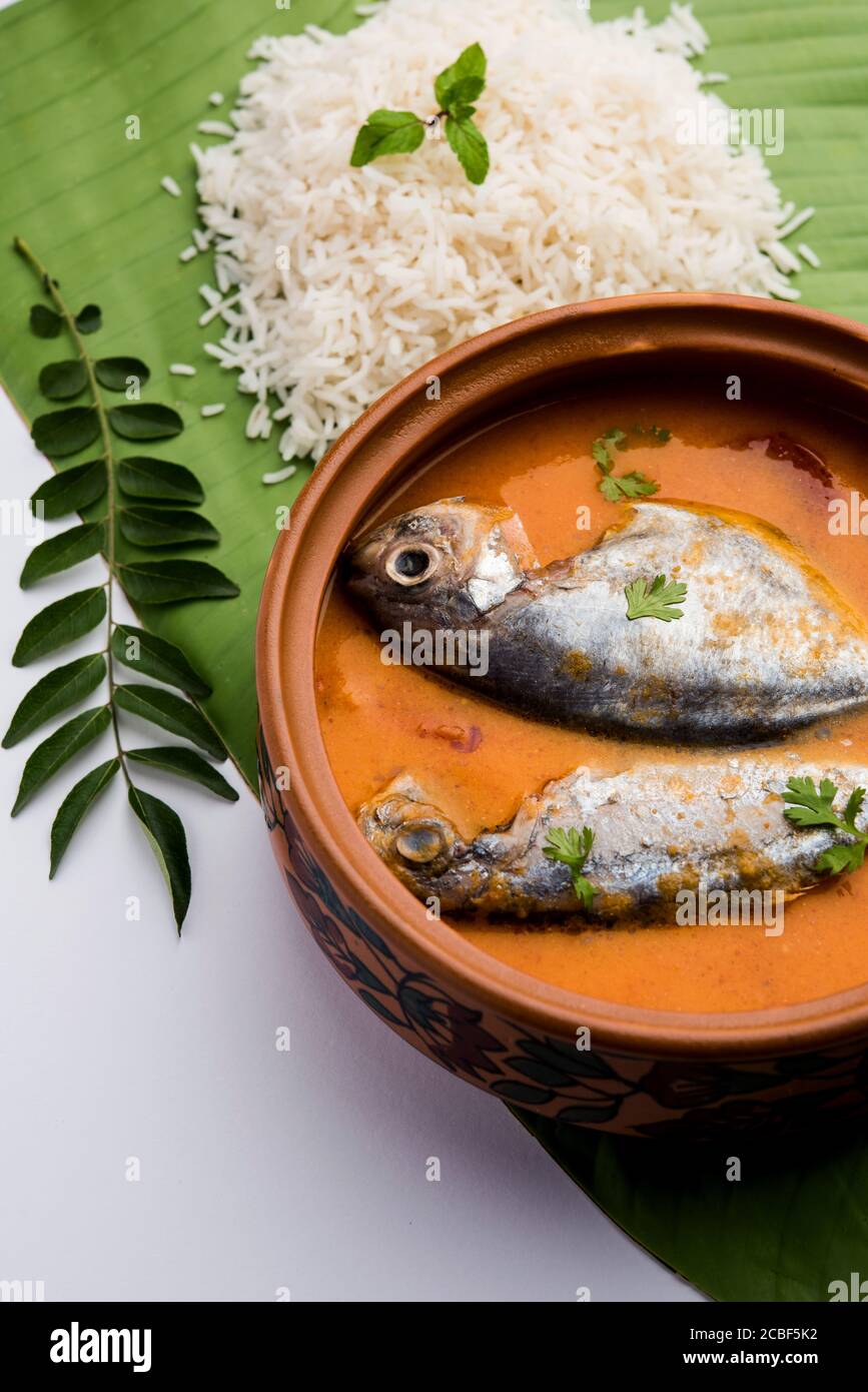 Spicy Fish Curry - kerala, konkan, bengal, goa style in Red and brown ...