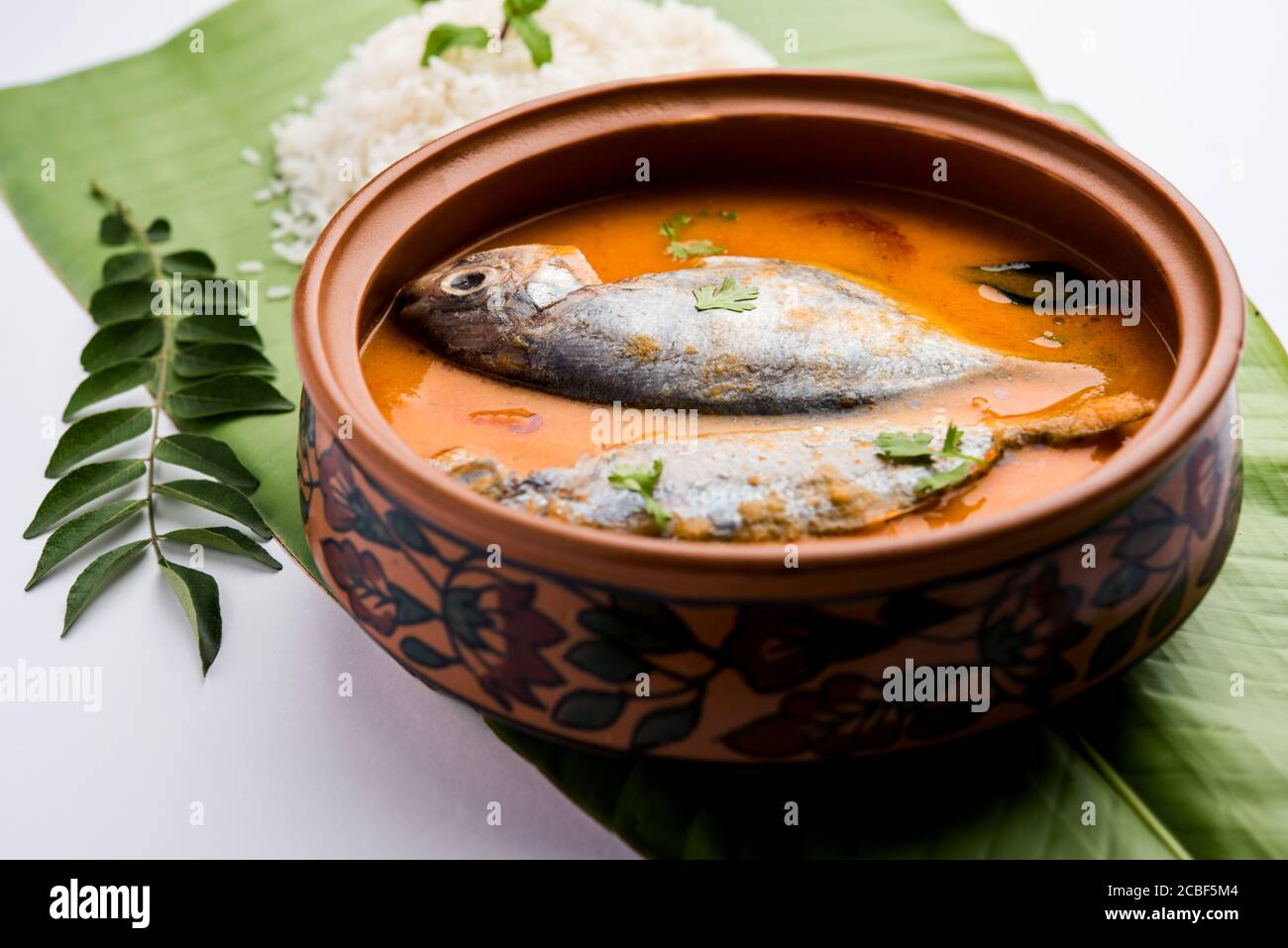 Spicy Fish Curry - kerala, konkan, bengal, goa style in Red and brown ...