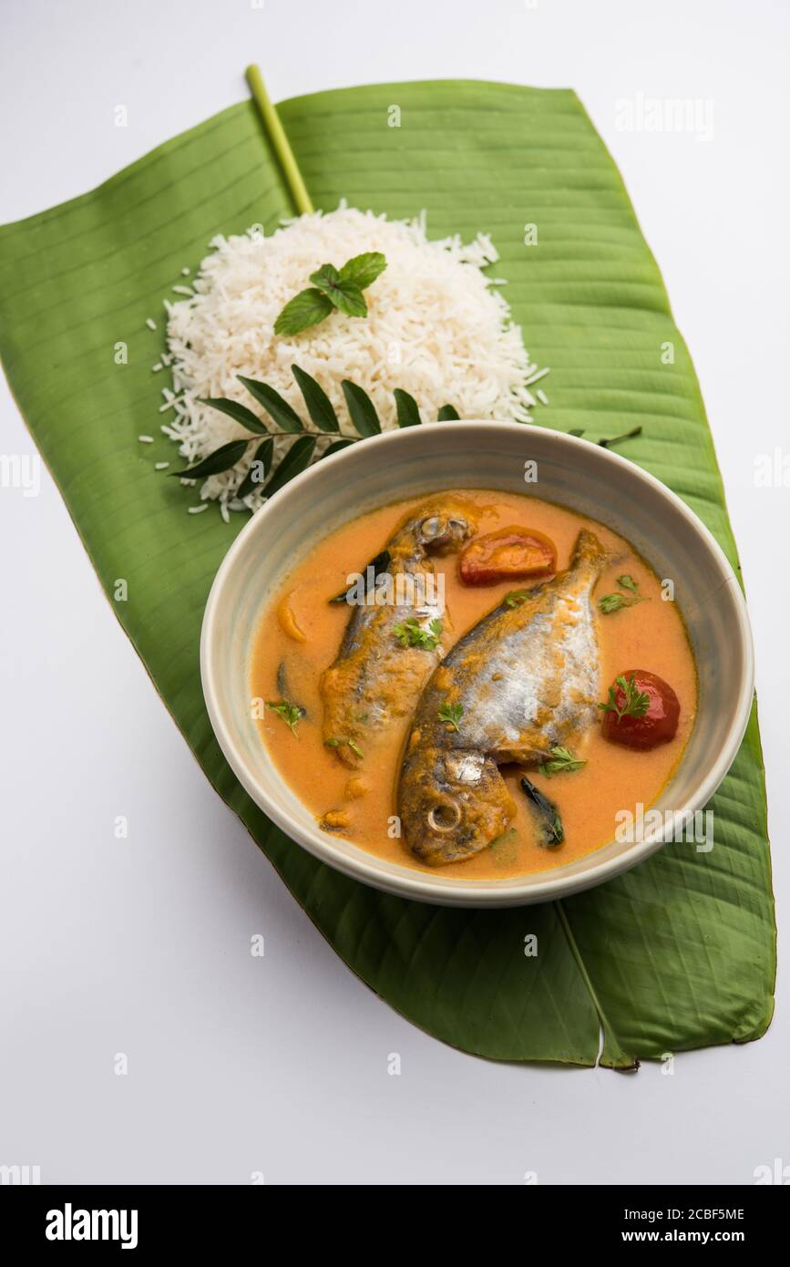 Spicy Fish Curry - kerala, konkan, bengal, goa style in Red and brown ...