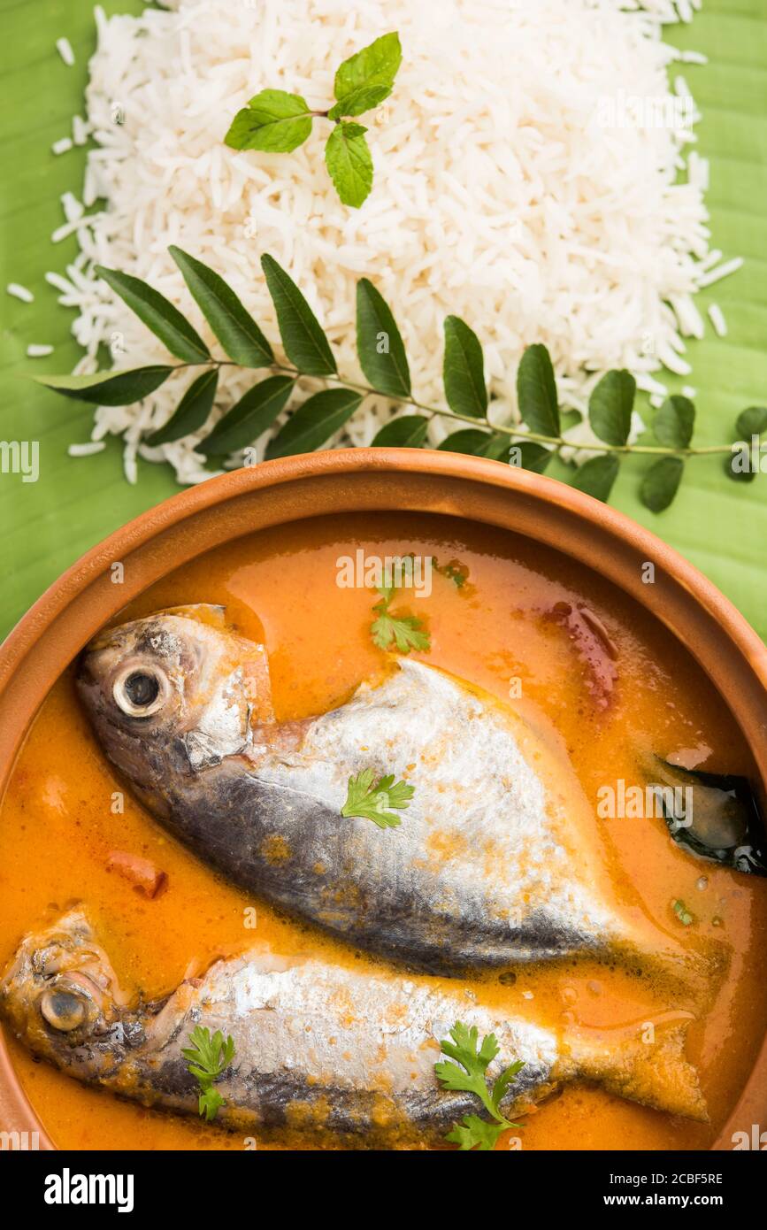 Spicy Fish Curry - kerala, konkan, bengal, goa style in Red and brown ...