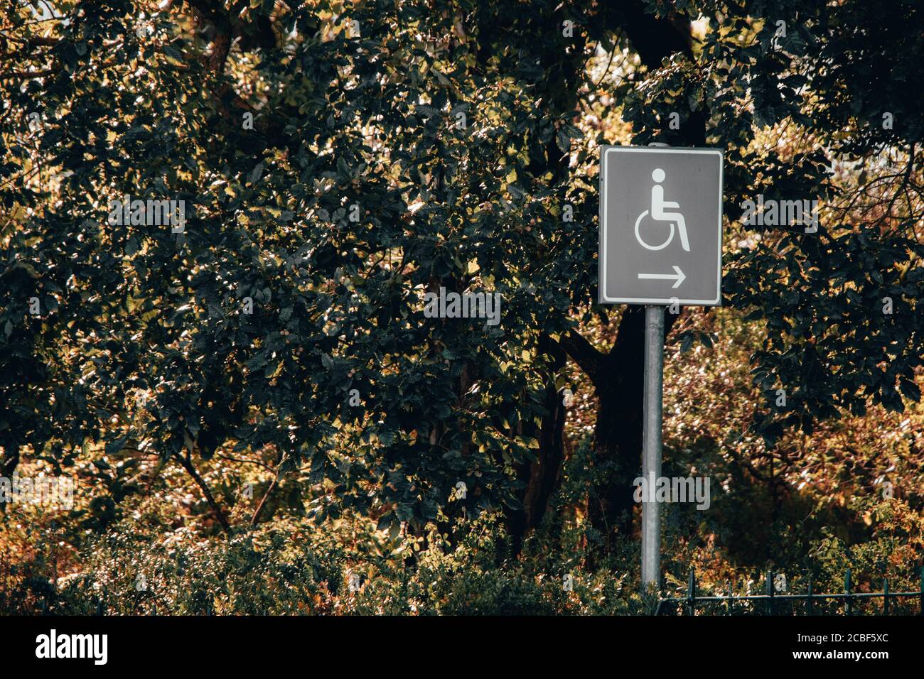 Sign for people with disabilities Stock Photo - Alamy