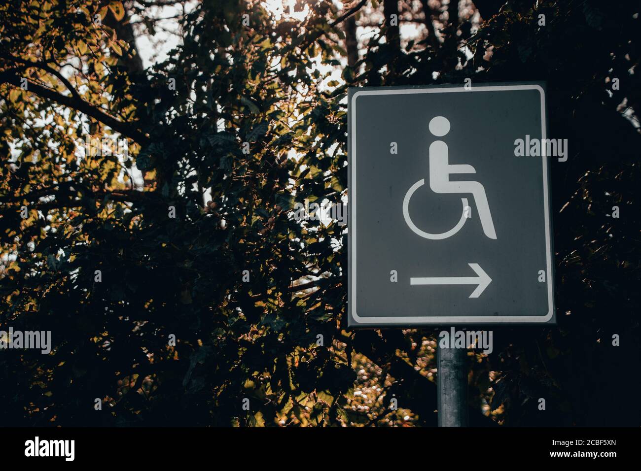 Sign for people with disabilities Stock Photo - Alamy