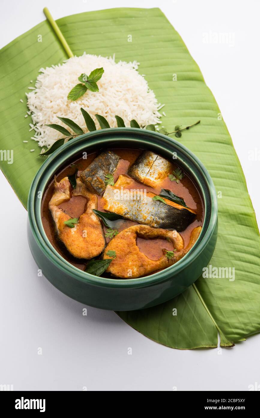 Spicy Fish Curry - kerala, konkan, bengal, goa style in Red and brown ...