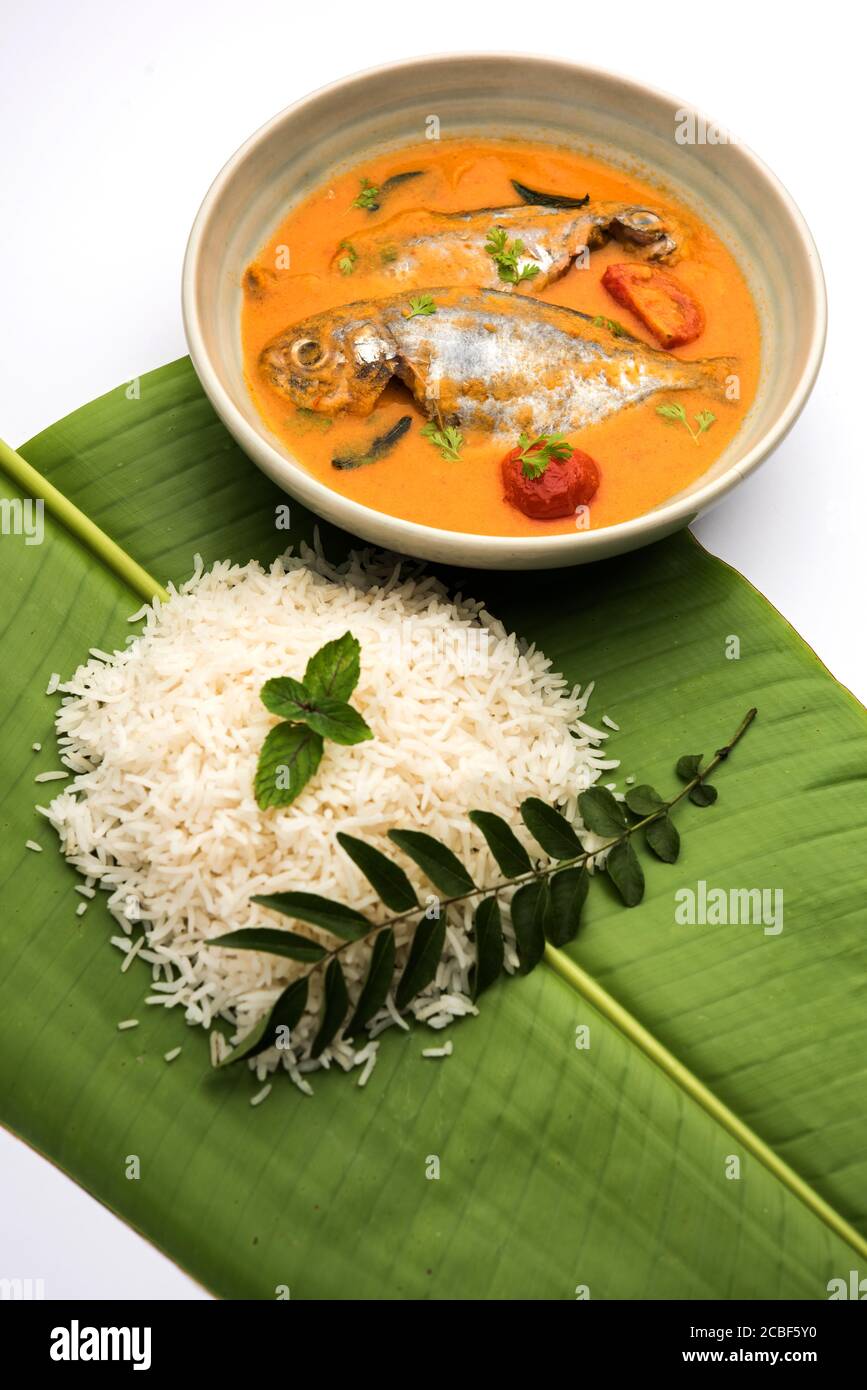 Spicy Fish Curry - kerala, konkan, bengal, goa style in Red and brown ...