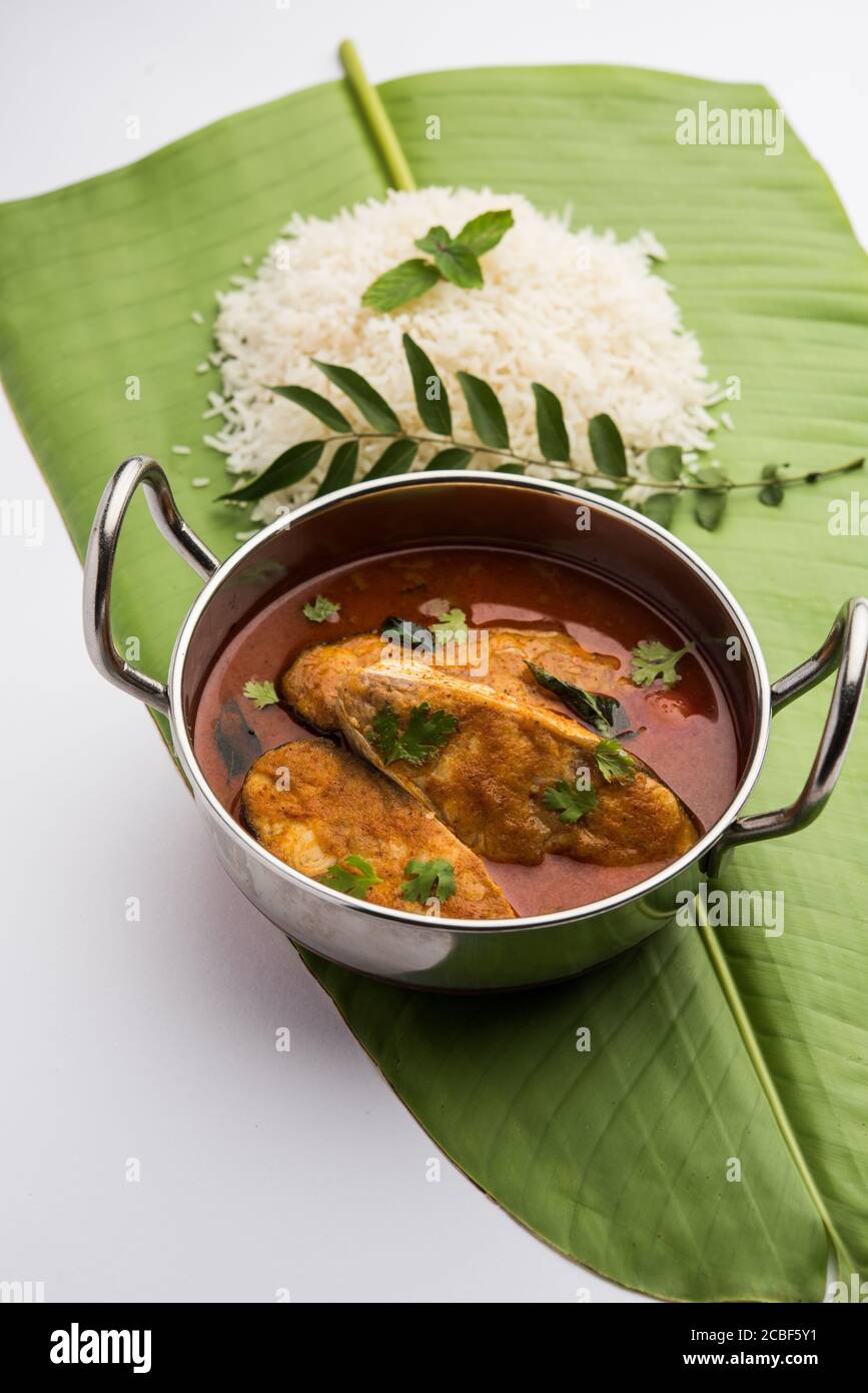 Spicy Fish Curry - kerala, konkan, bengal, goa style in Red and brown ...