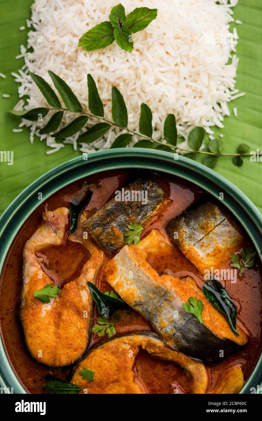 Spicy Fish Curry - kerala, konkan, bengal, goa style in Red and brown ...