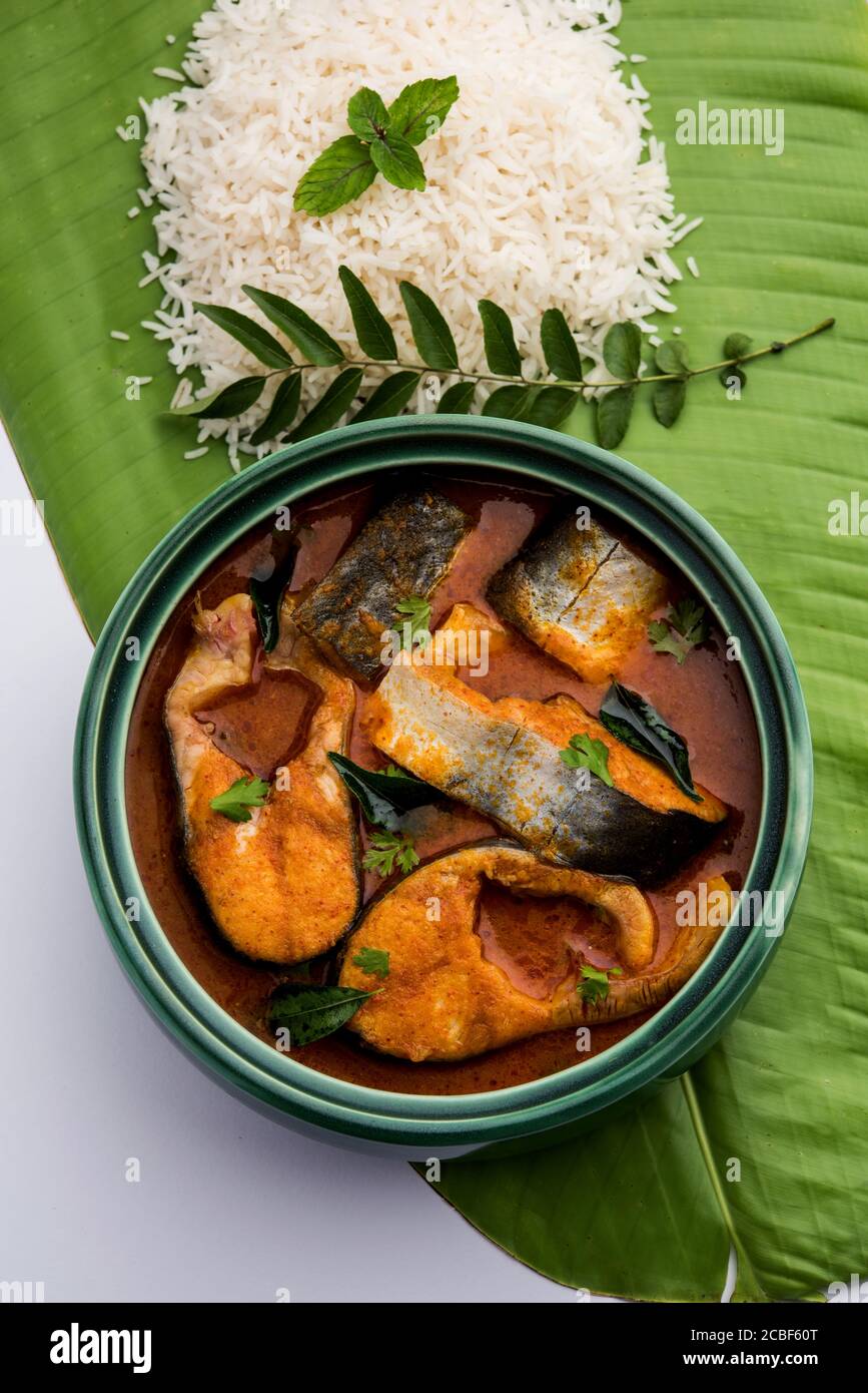 Spicy Fish Curry - kerala, konkan, bengal, goa style in Red and brown ...