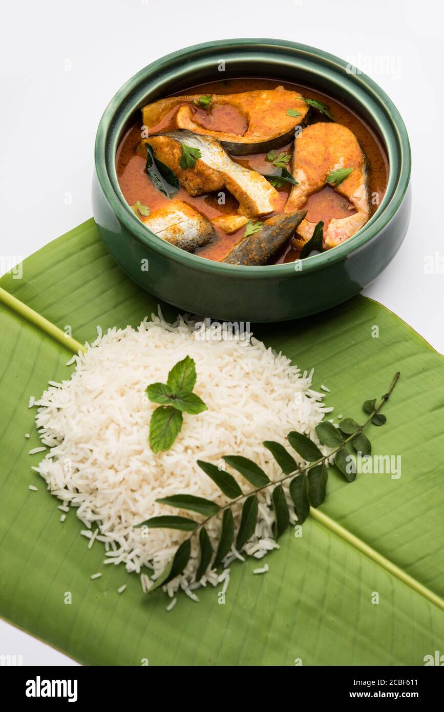 Spicy Fish Curry - kerala, konkan, bengal, goa style in Red and brown ...