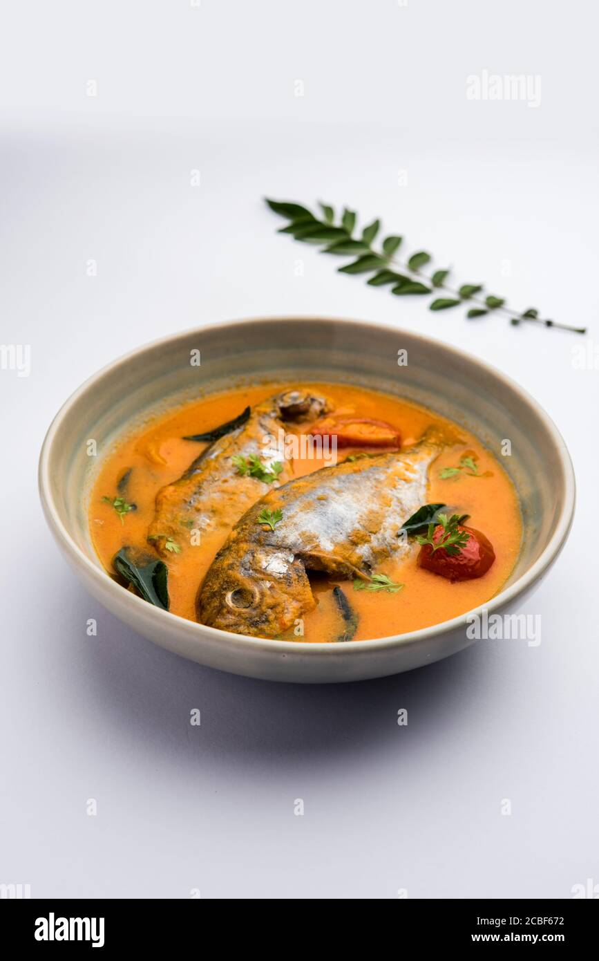Spicy Fish Curry - kerala, konkan, bengal, goa style in Red and brown ...
