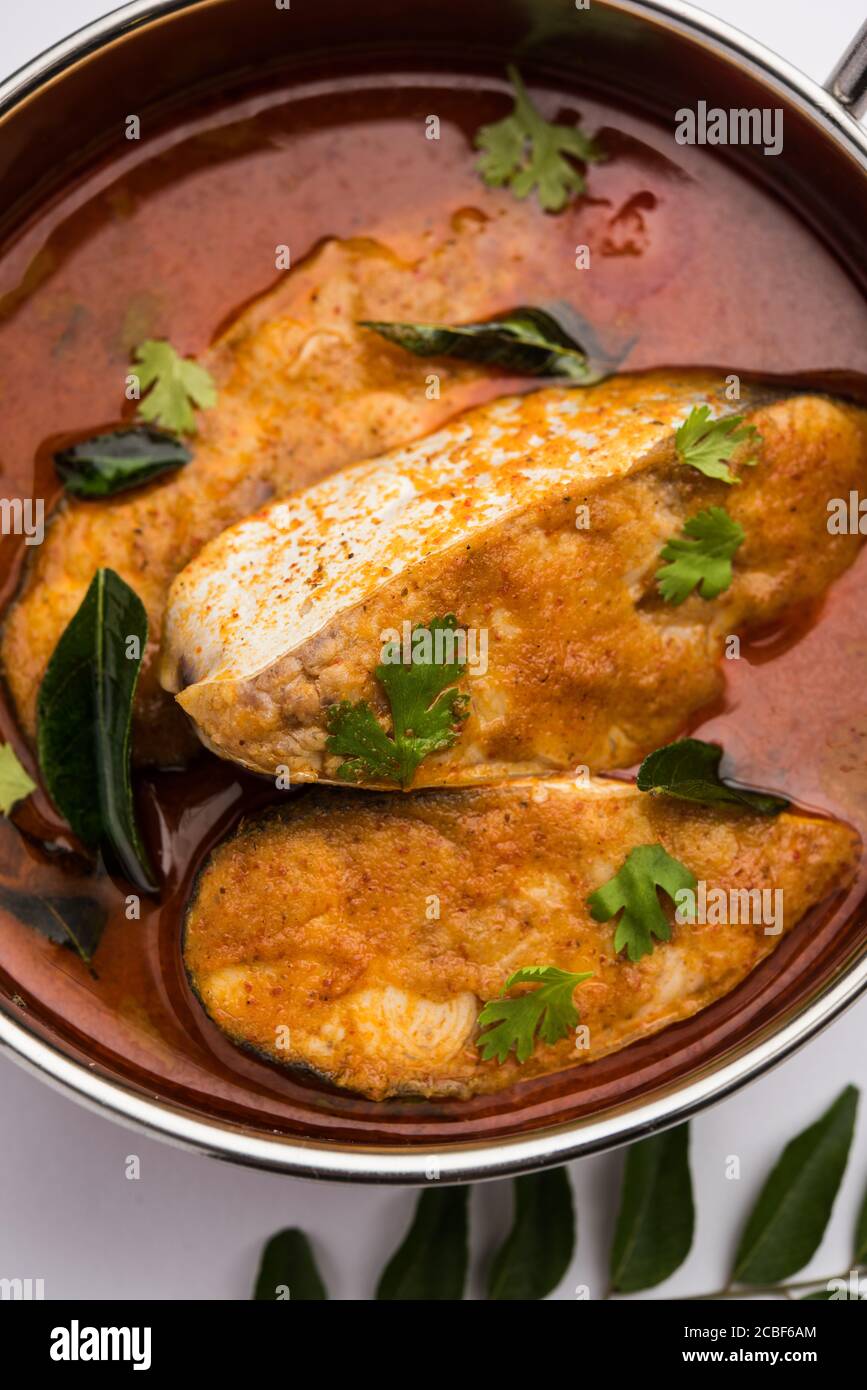 Spicy Fish Curry - kerala, konkan, bengal, goa style in Red and brown ...