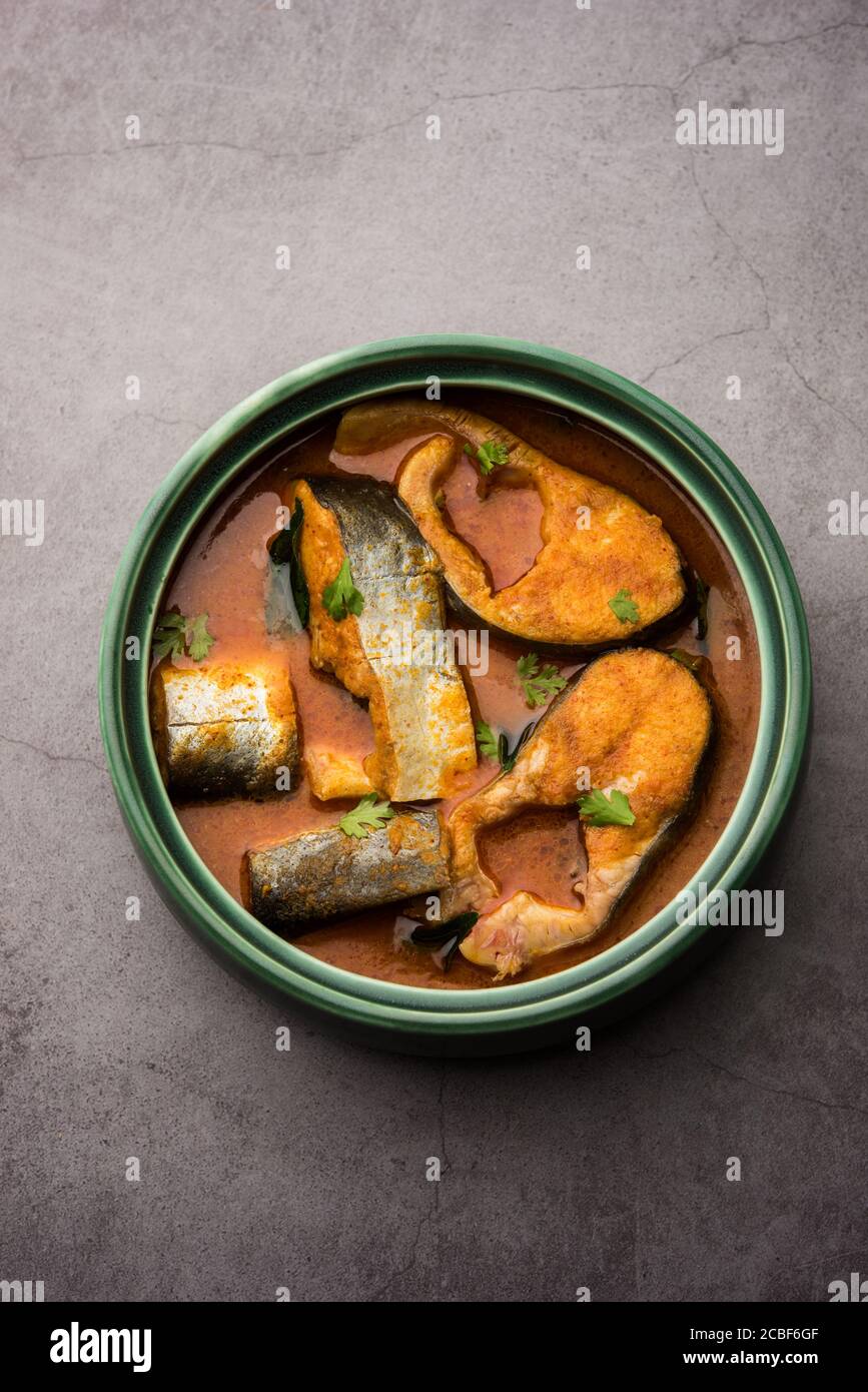 Spicy Fish Curry - kerala, konkan, bengal, goa style in Red and brown ...