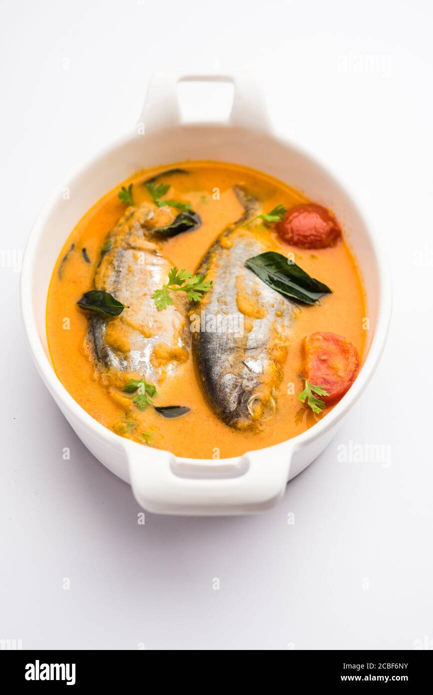 Spicy Fish Curry - kerala, konkan, bengal, goa style in Red and brown ...