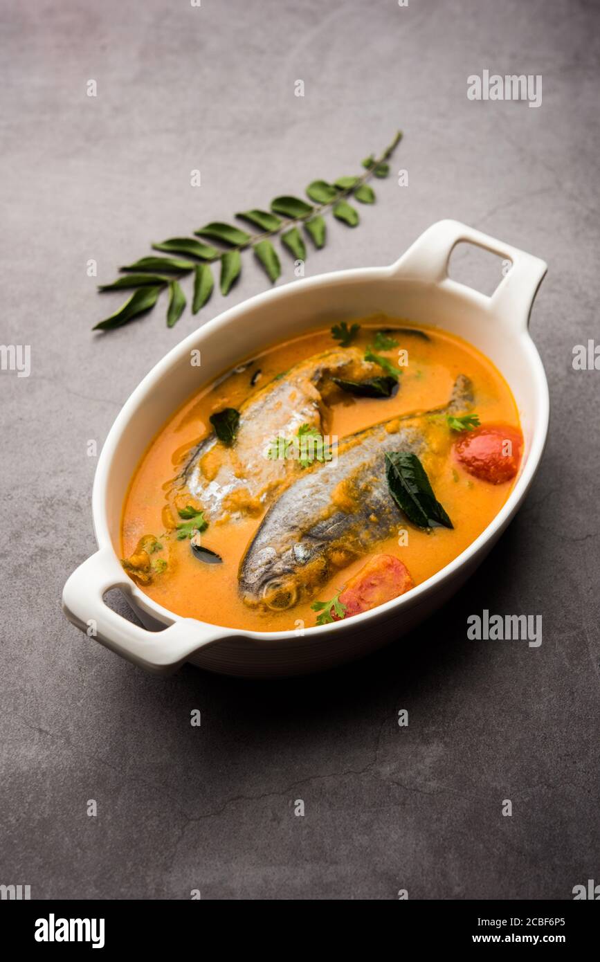 Spicy Fish Curry - kerala, konkan, bengal, goa style in Red and brown ...