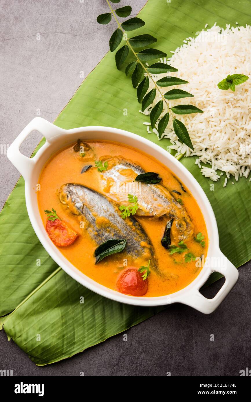 Spicy Fish Curry - kerala, konkan, bengal, goa style in Red and brown ...