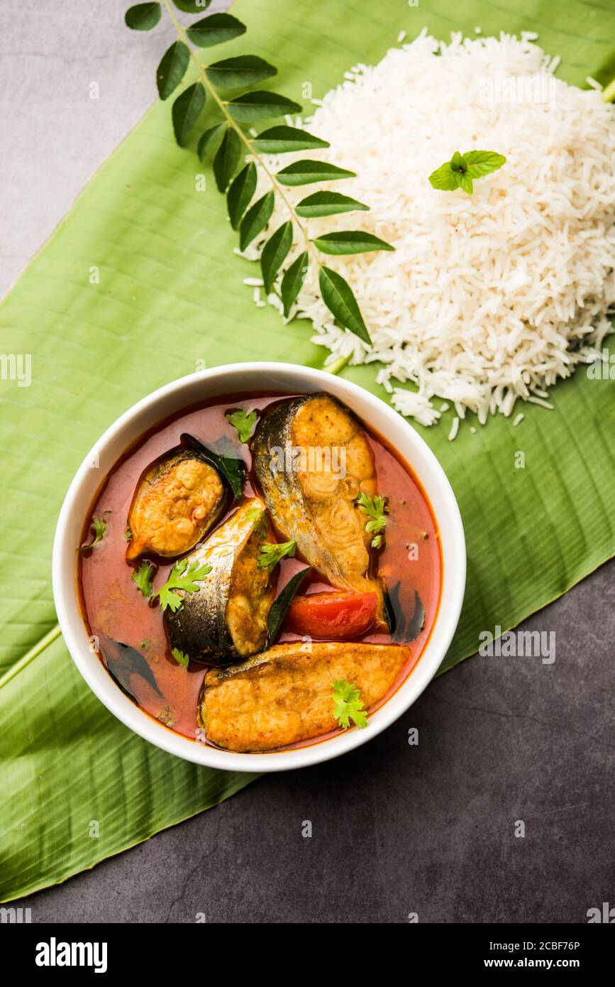 Spicy Fish Curry - kerala, konkan, bengal, goa style in Red and brown ...