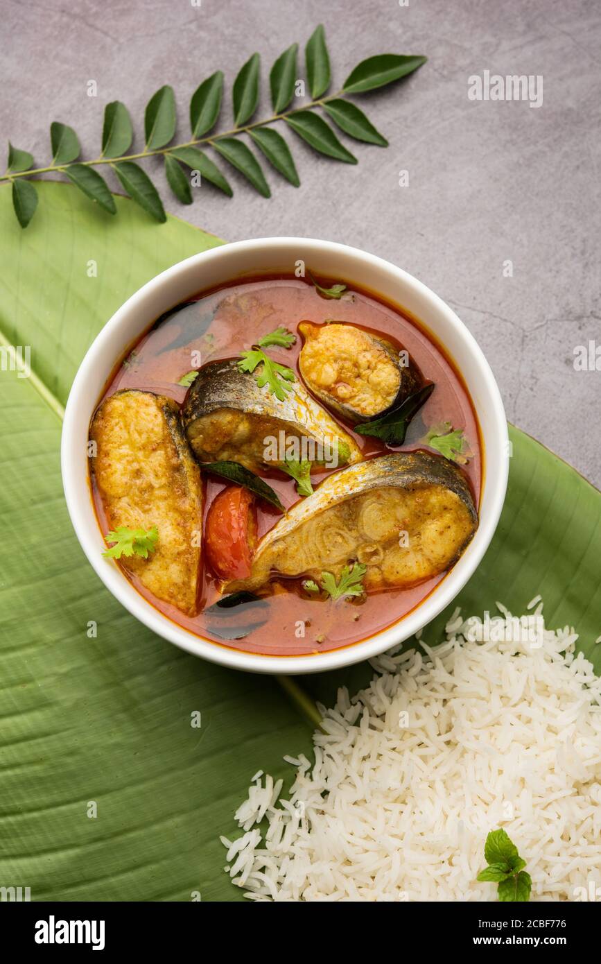 Spicy Fish Curry - kerala, konkan, bengal, goa style in Red and brown ...