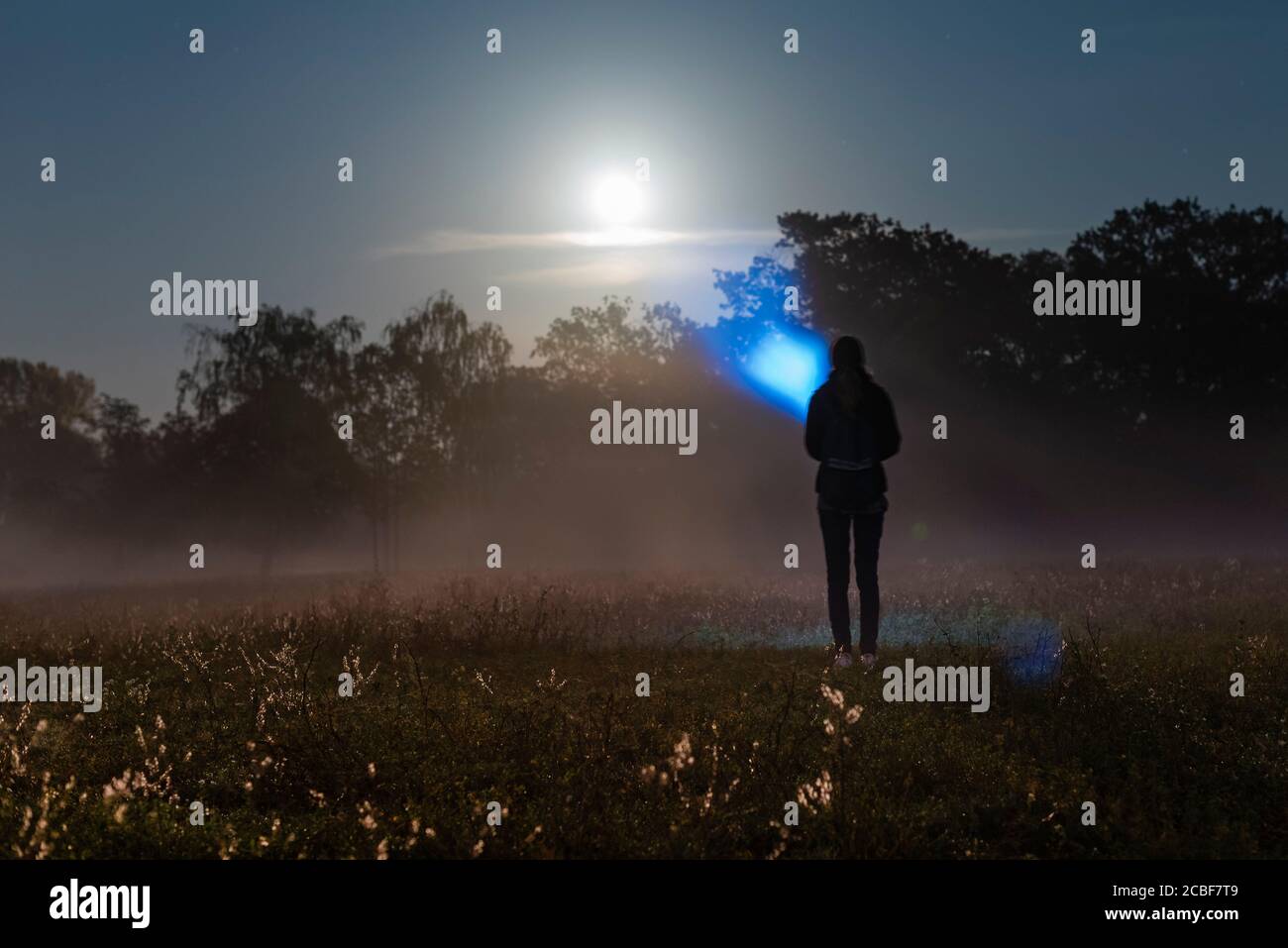 A person with a flashlight on a foggy meadow, with a flashlight in the ...