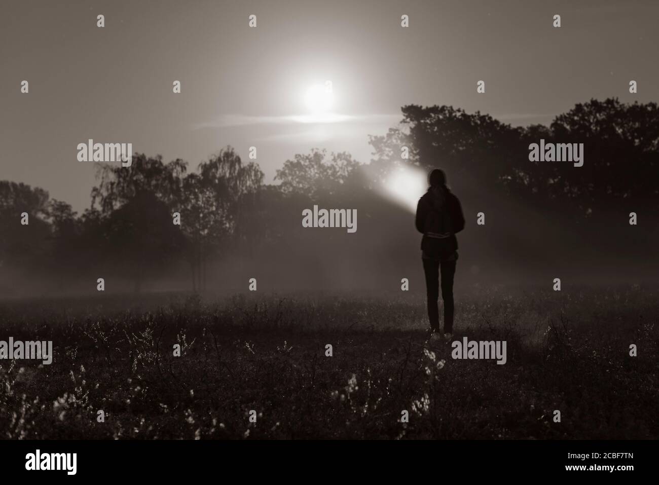 A person with a flashlight on a foggy meadow, with a flashlight in the ...