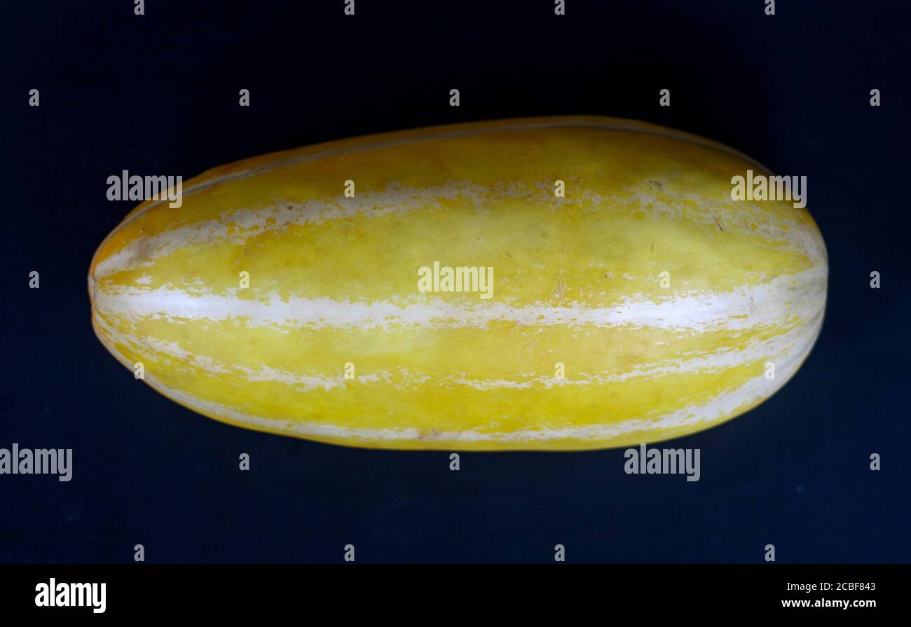 Timun suri hi-res stock photography and images - Alamy