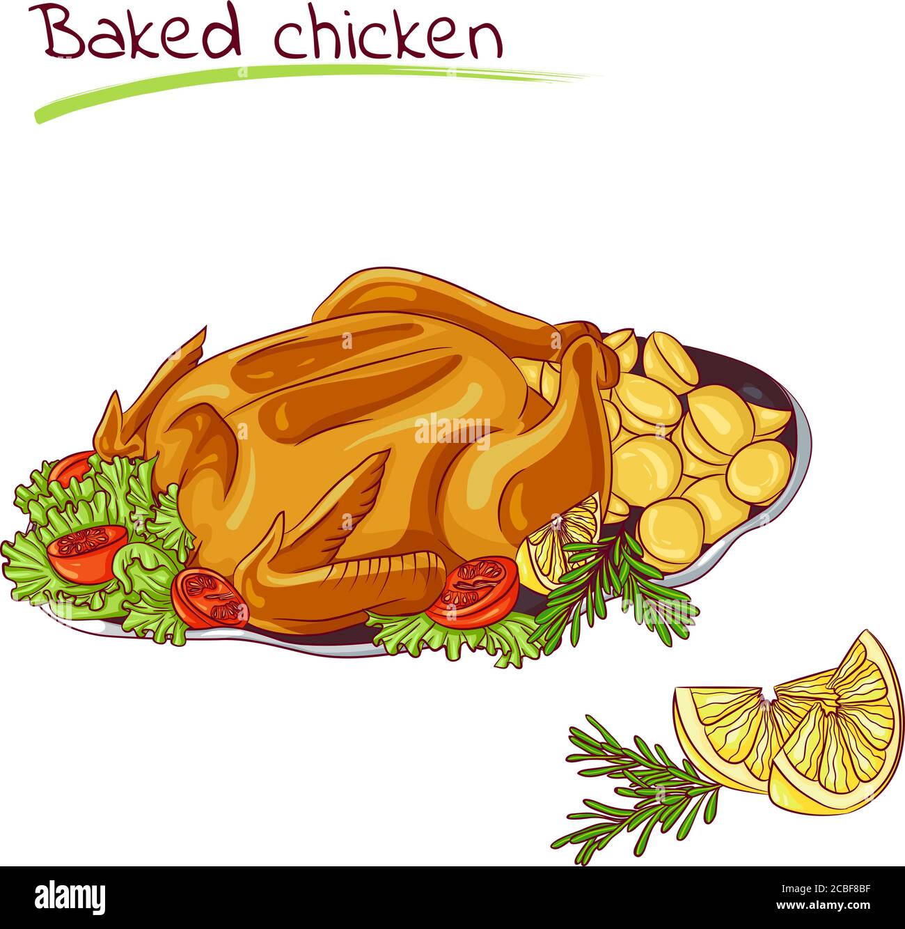 Vector illustration of baked chicken with potatoes isolated on white ...
