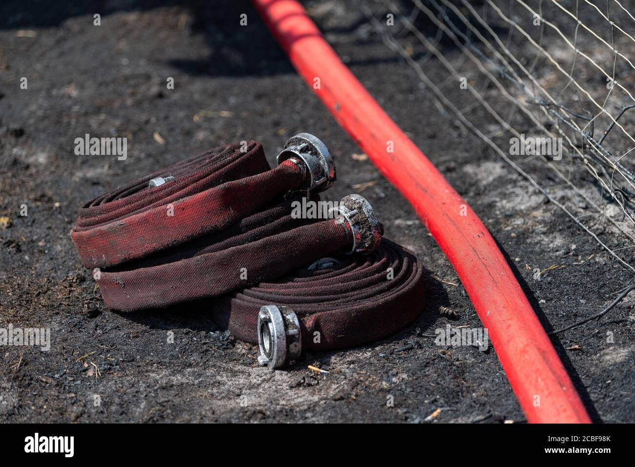 Essel, Germany. 13th Aug, 2020. Dirty fire hoses are lying on burnt ...