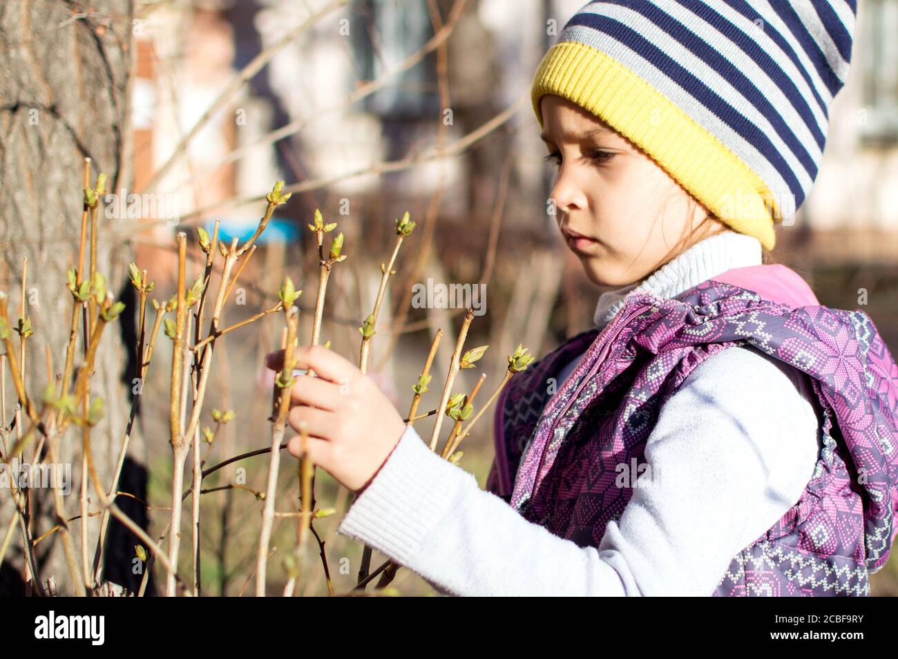 Girl walks in spring. Consider the plants that have buds Stock Photo ...