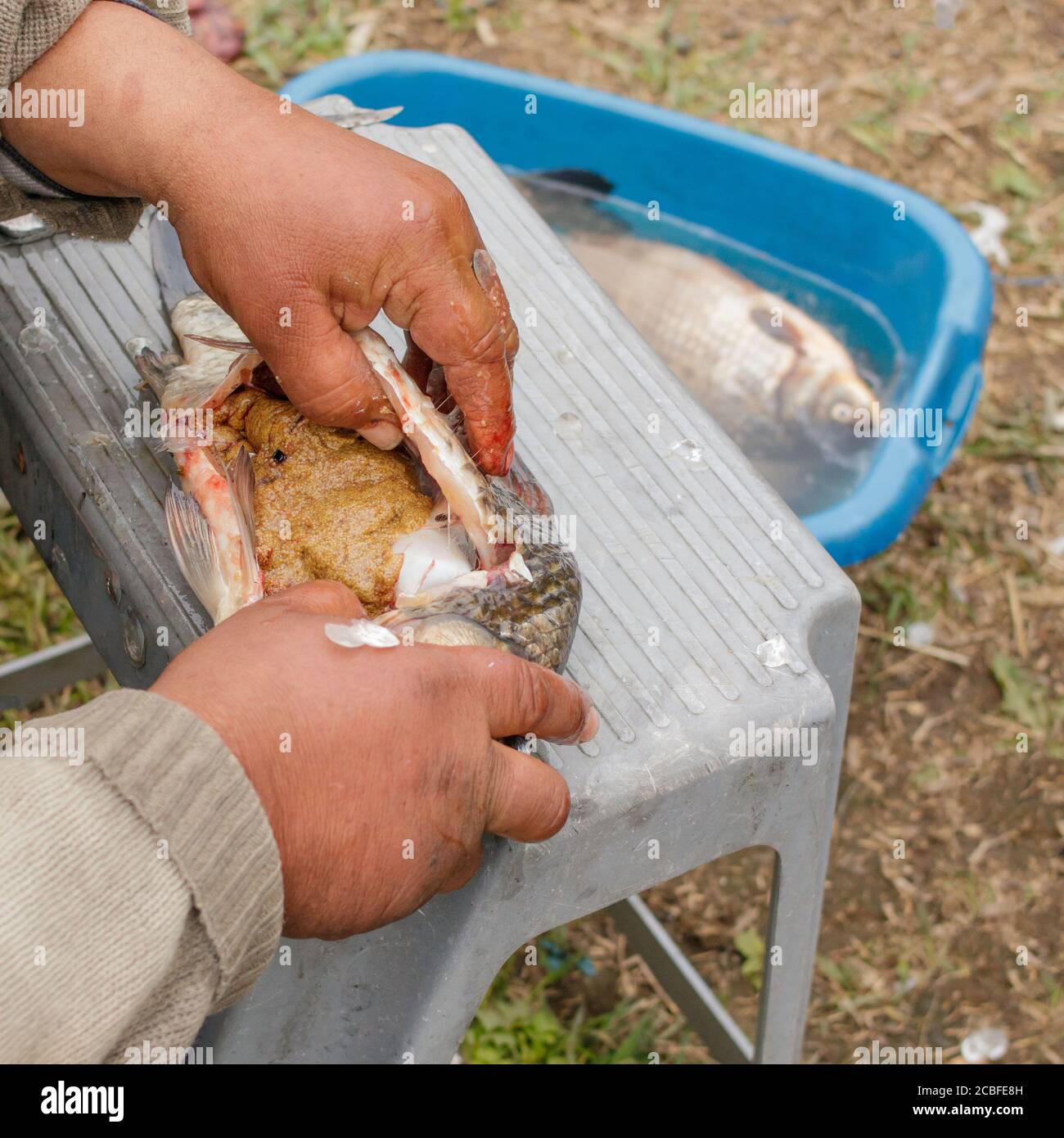 Guts river hi-res stock photography and images - Alamy