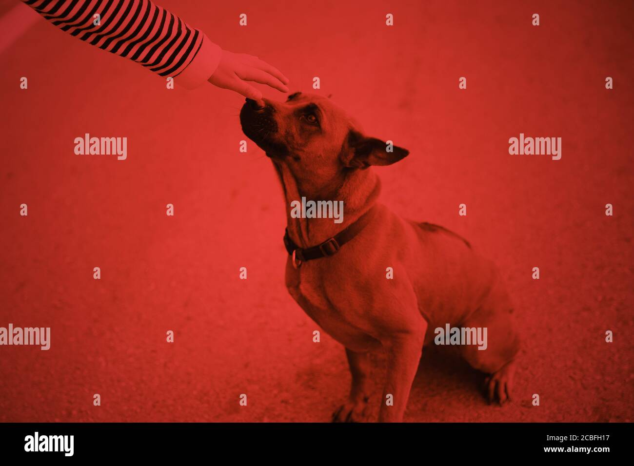 Human diseases hi-res stock photography and images - Alamy