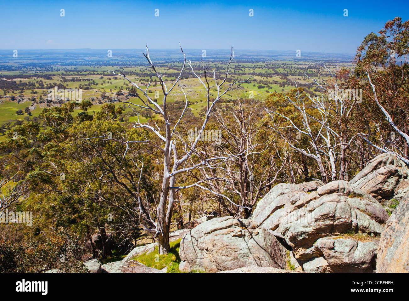Country Landscape Mt Alexander Regional Park Victoria Australia Stock ...