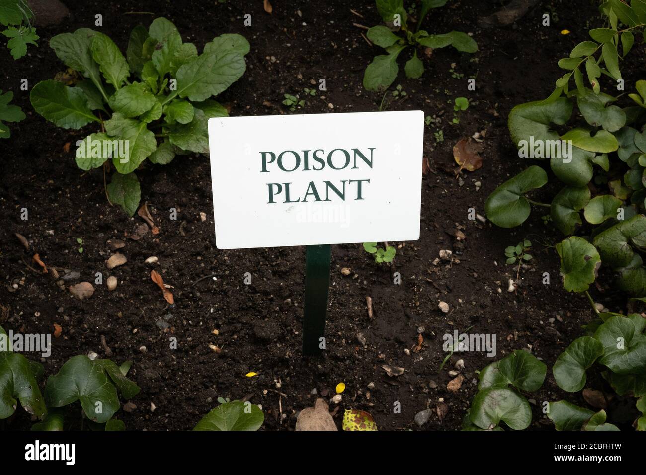 Poison plant sign hi-res stock photography and images - Alamy