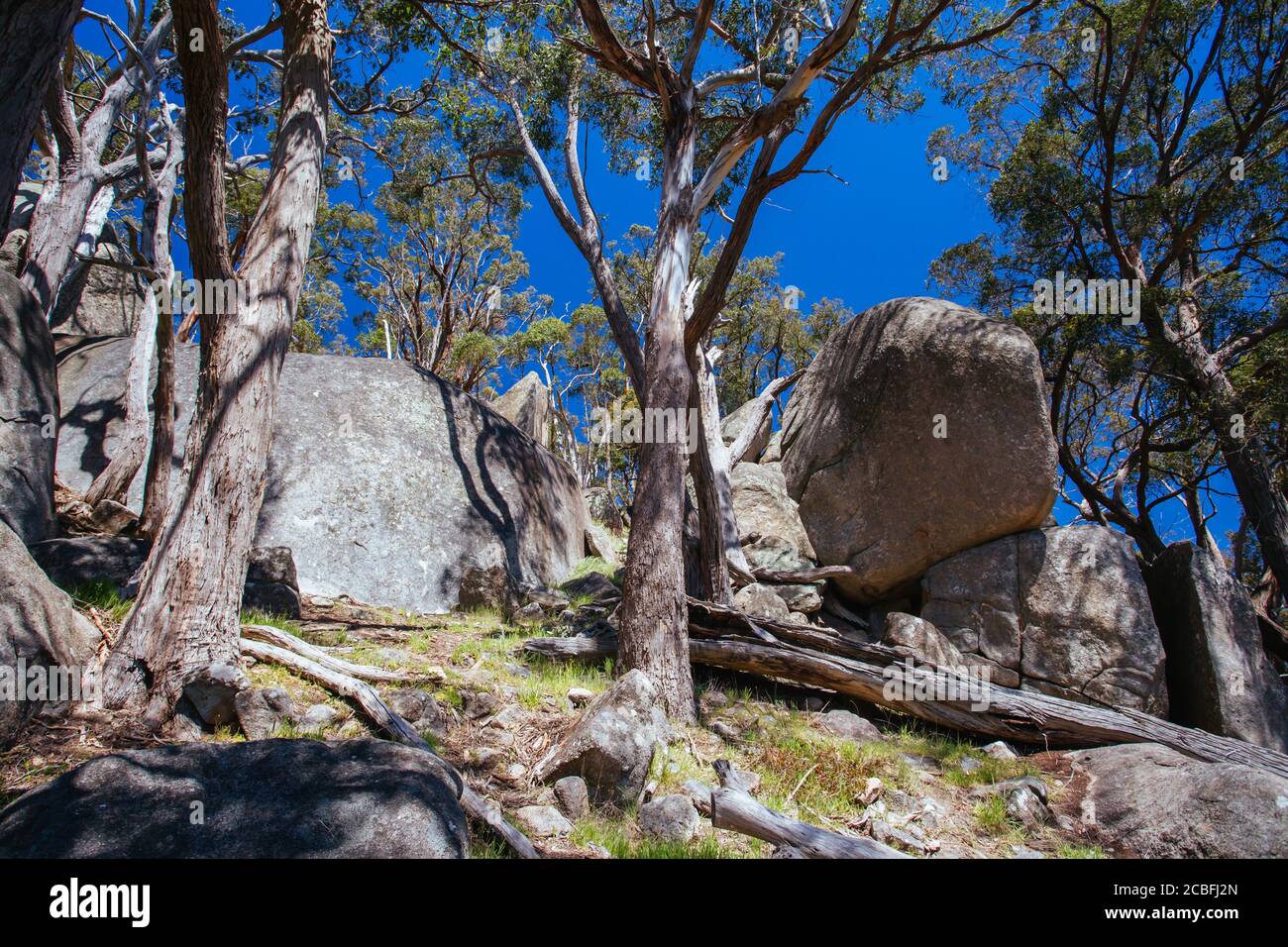 Country Landscape Mt Alexander Regional Park Victoria Australia Stock ...